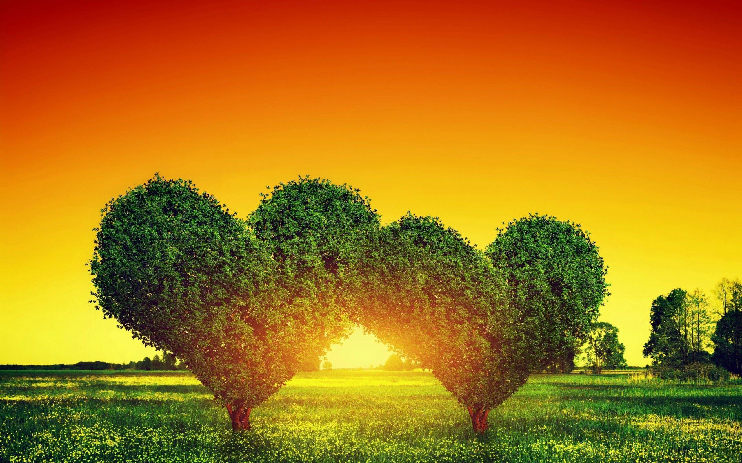 Heart Tree Wallpapers - Top Free Heart Tree Backgrounds - WallpaperAccess