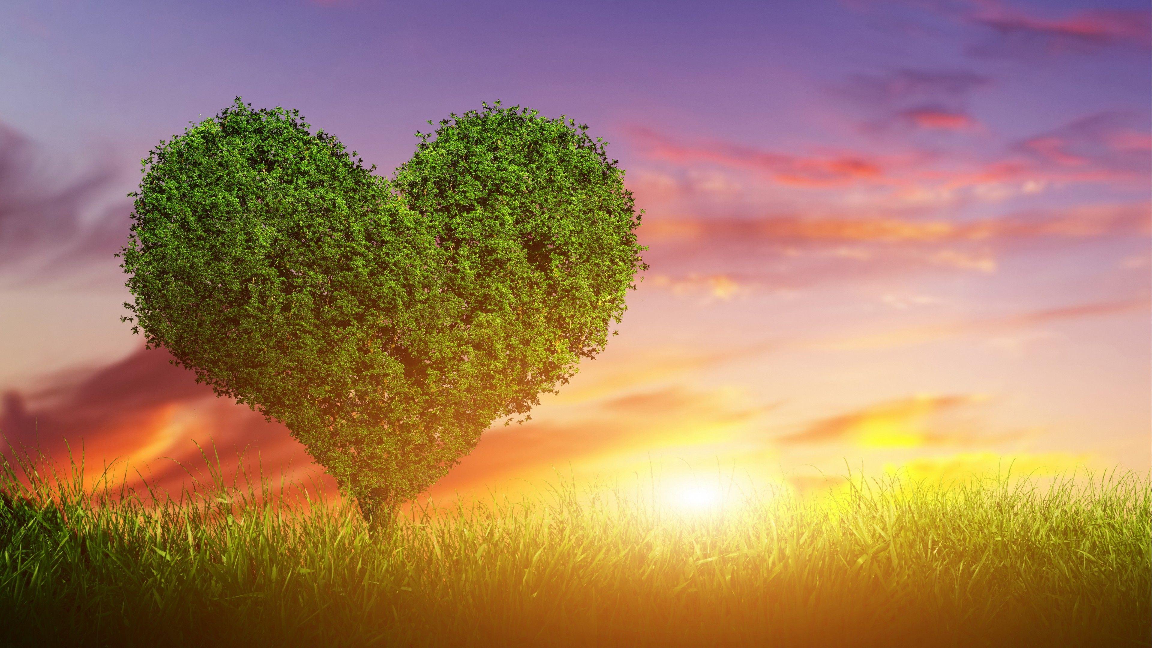 Heart Tree Wallpapers - Top Free Heart Tree Backgrounds - WallpaperAccess