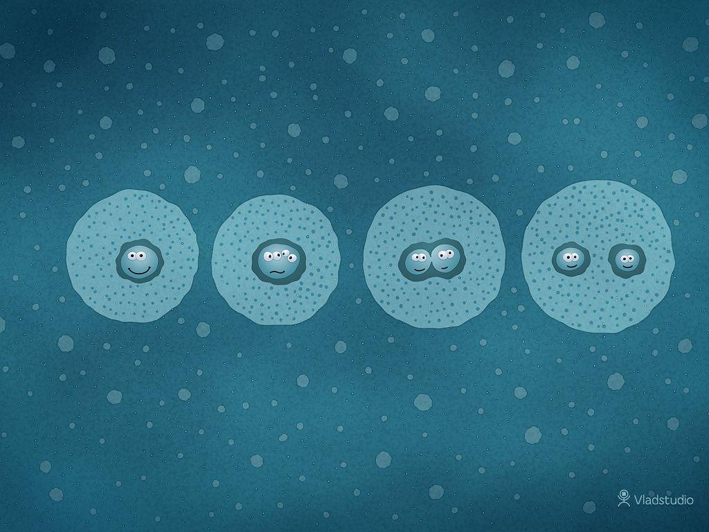 43 Best Free Cells 4K Wallpapers - WallpaperAccess