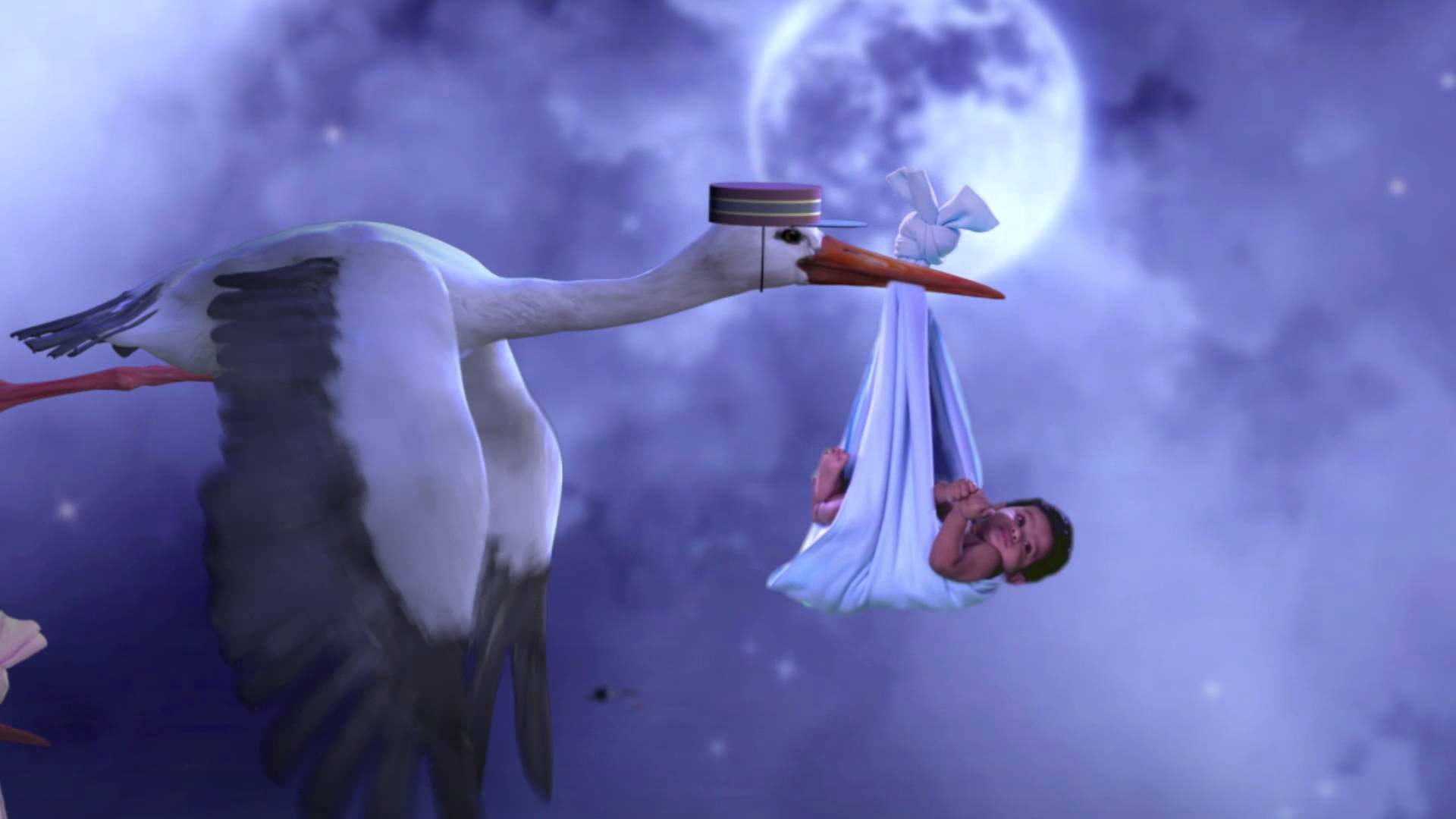 Storks Wallpapers - Top Free Storks Backgrounds - WallpaperAccess