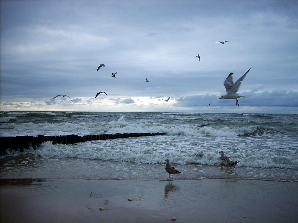 Baltic Sea Wallpapers - Top Free Baltic Sea Backgrounds - WallpaperAccess