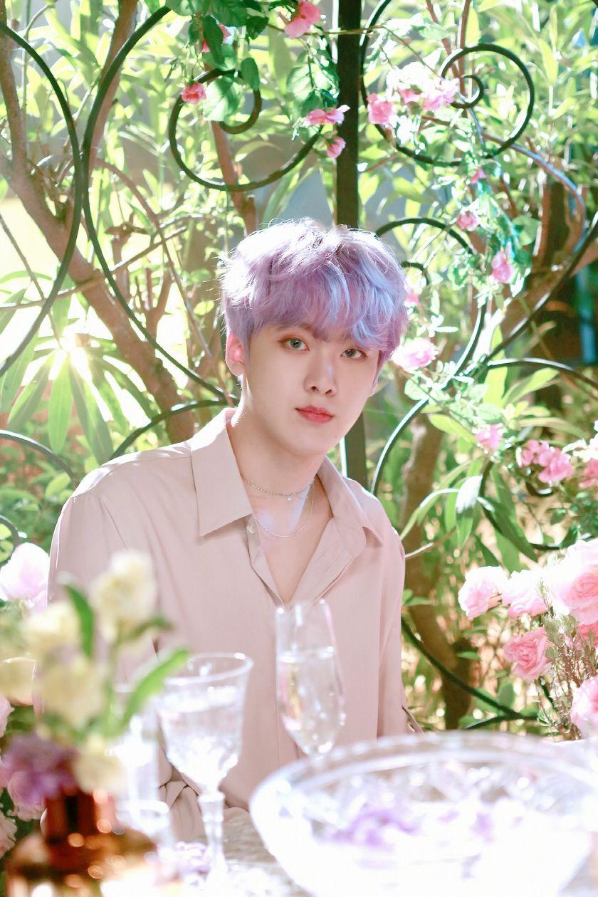 Sanha Astro Wallpapers - Top Free Sanha Astro Backgrounds - WallpaperAccess