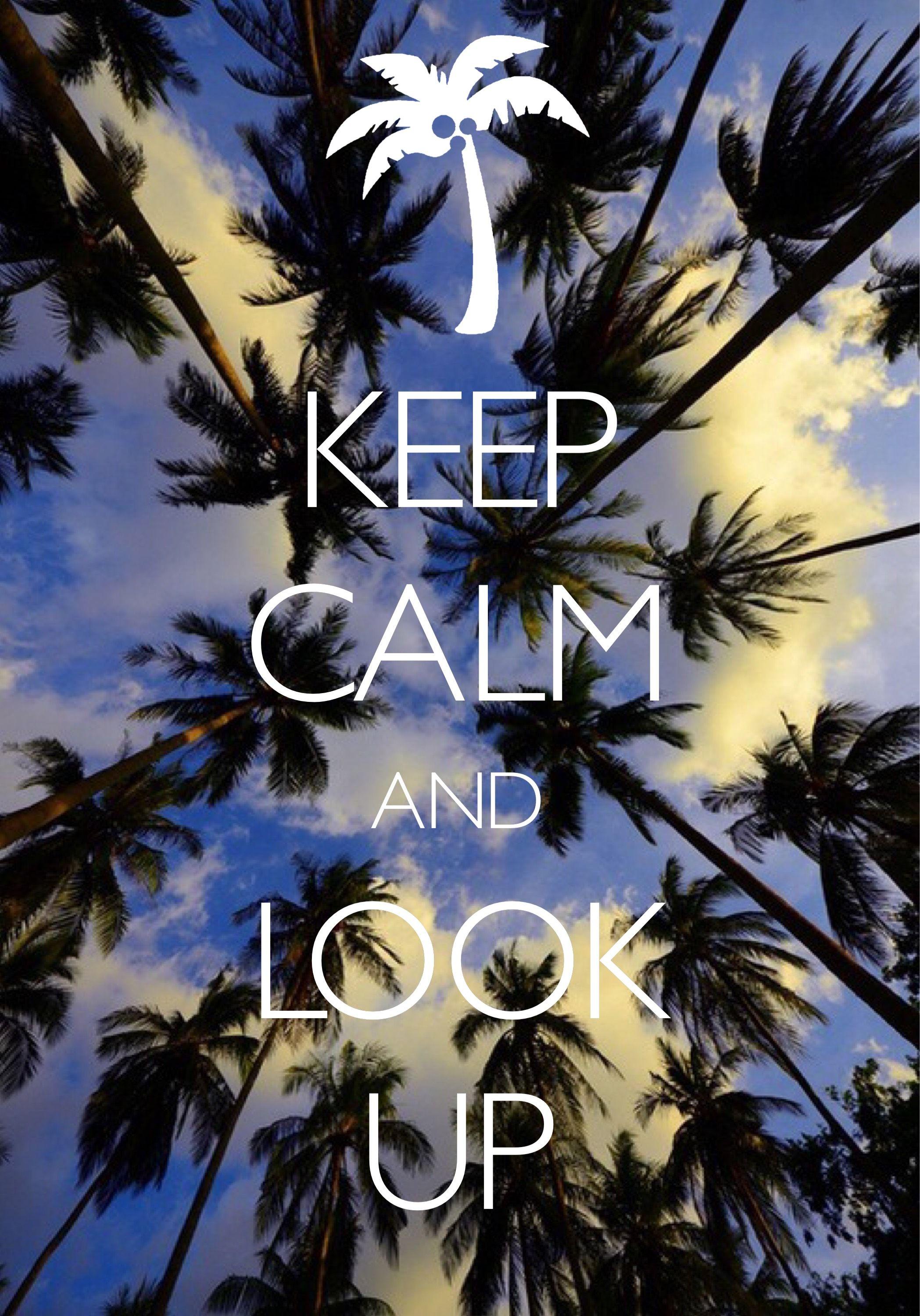 Look Up Wallpapers - Top Free Look Up Backgrounds - WallpaperAccess