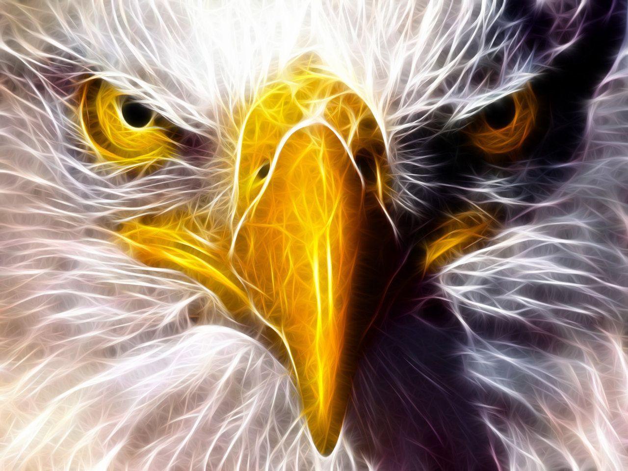 Eagle Eye Wallpapers Top Free Eagle Eye Backgrounds WallpaperAccess Eagle Eye Wallpapers Top Free Eagle Eye Backgrounds WallpaperAccess
