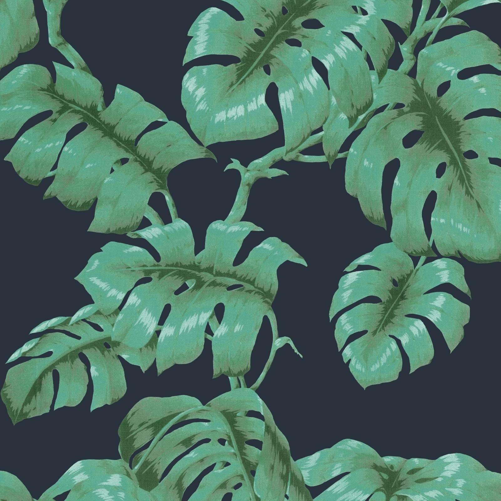 Monstera Deliciosa Wallpapers - Top Free Monstera Deliciosa Backgrounds ...