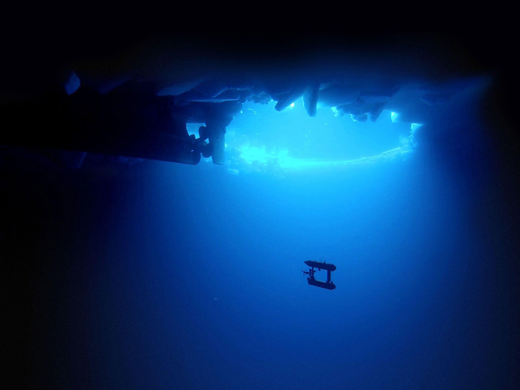 Thalassophobia Wallpapers - Top Free Thalassophobia Backgrounds ...