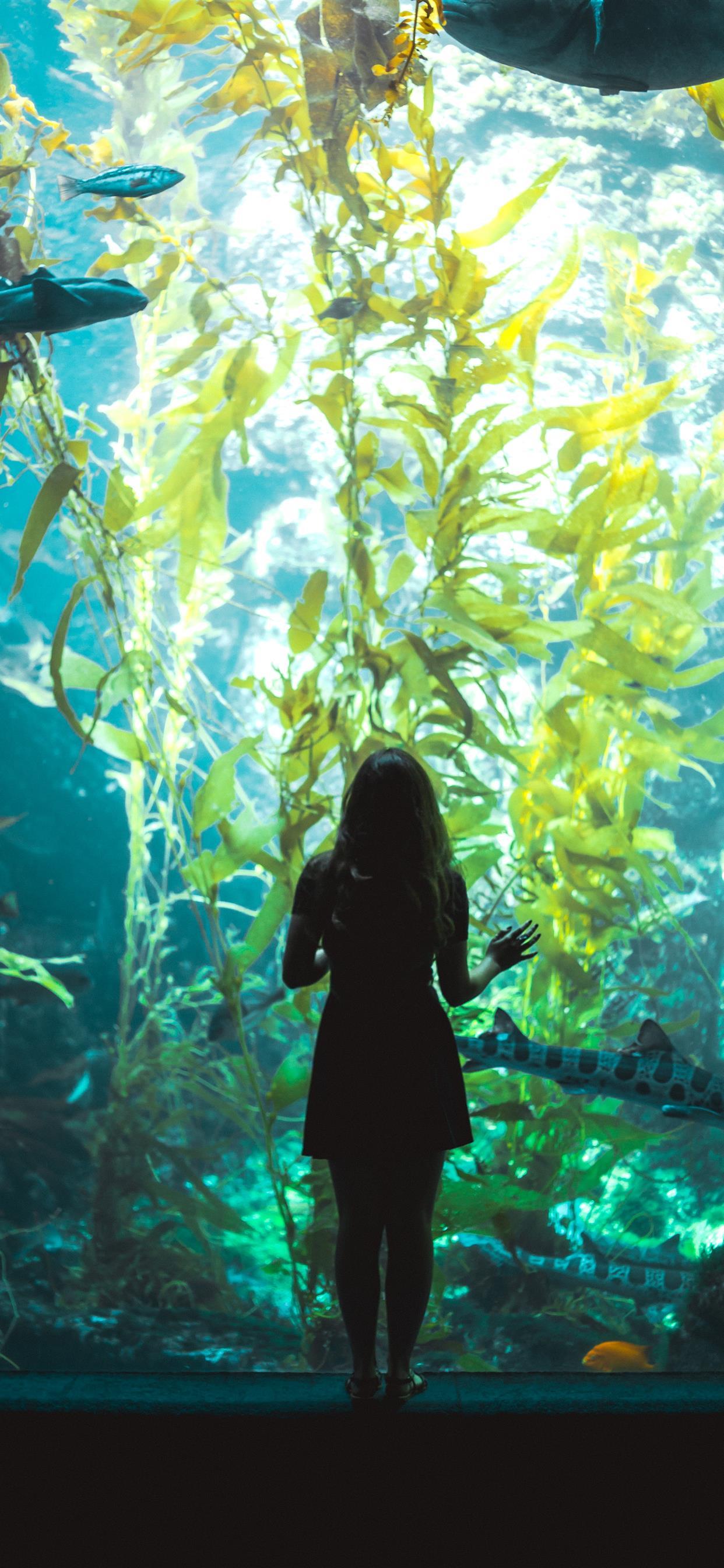 La Jolla Wallpapers - Top Free La Jolla Backgrounds - WallpaperAccess