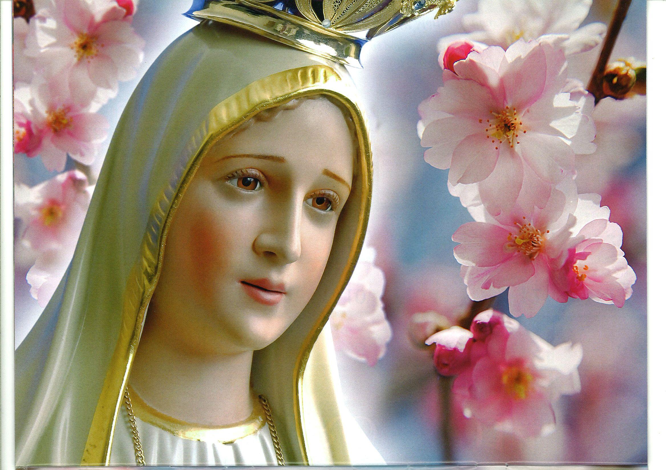 Our Lady of Fatima Wallpapers - Top Free Our Lady of Fatima Backgrounds ...