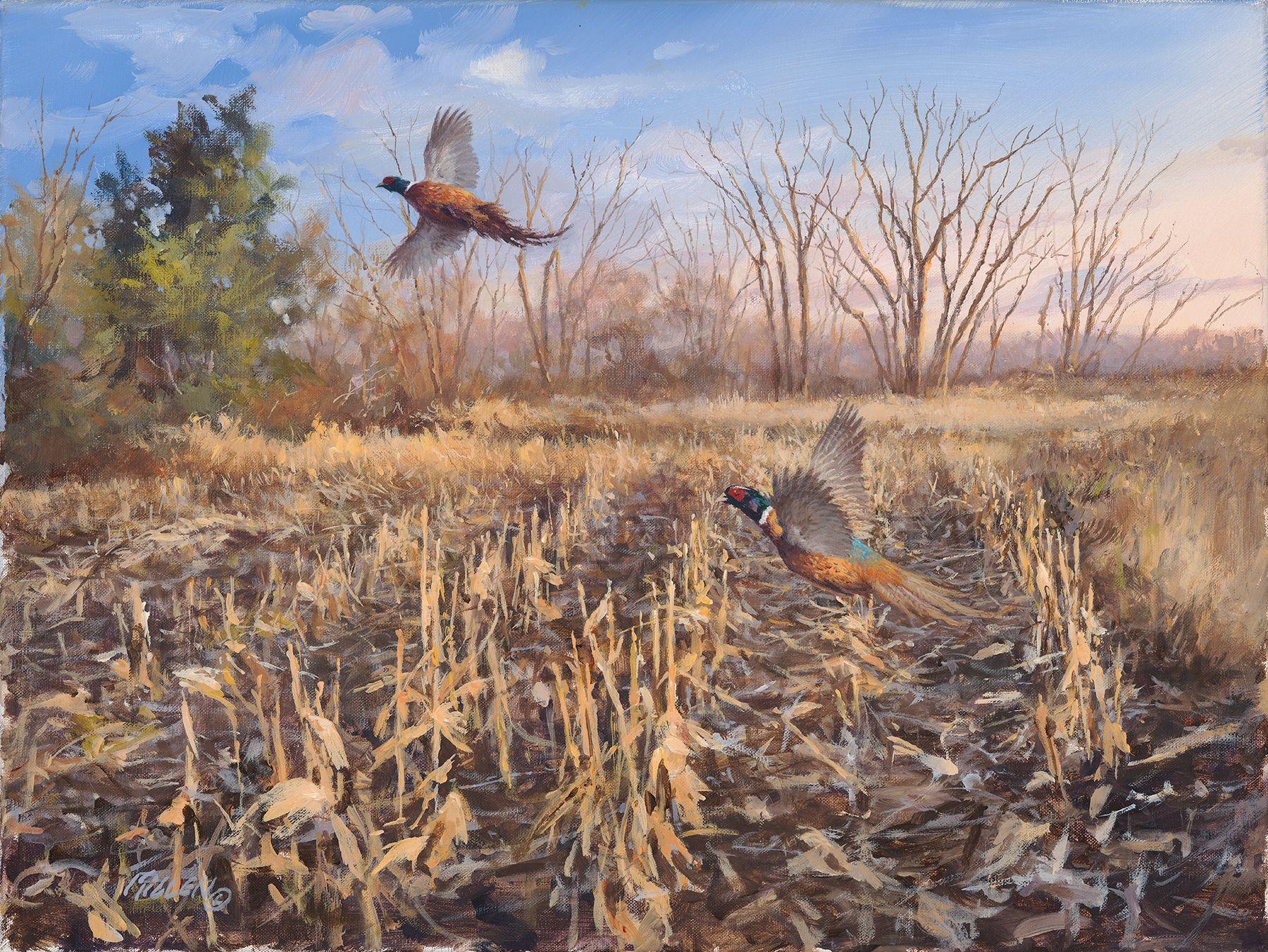Upland Hunting Wallpapers - Top Free Upland Hunting Backgrounds ...
