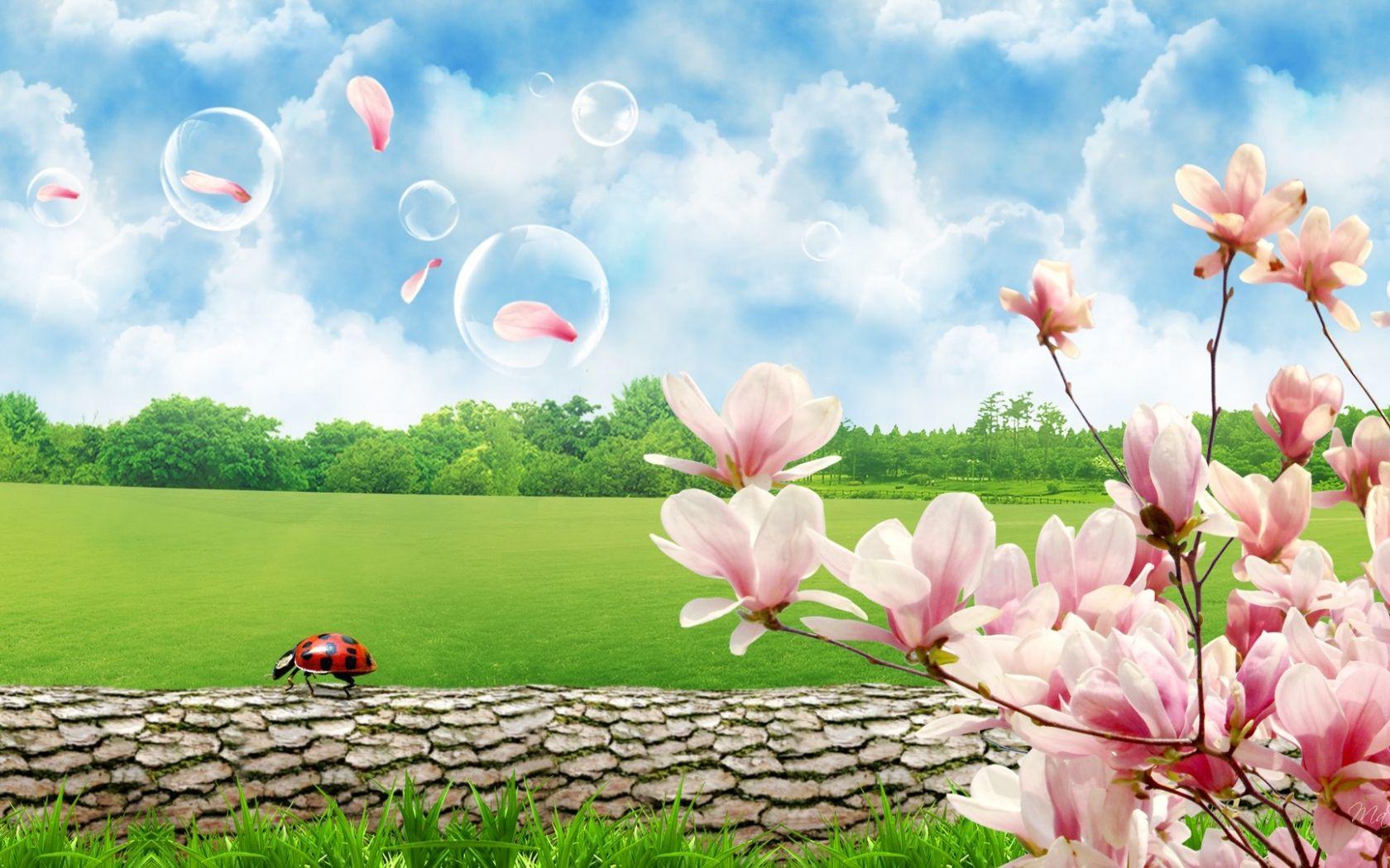 Beautiful PC Wallpapers - Top Free Beautiful PC Backgrounds ...