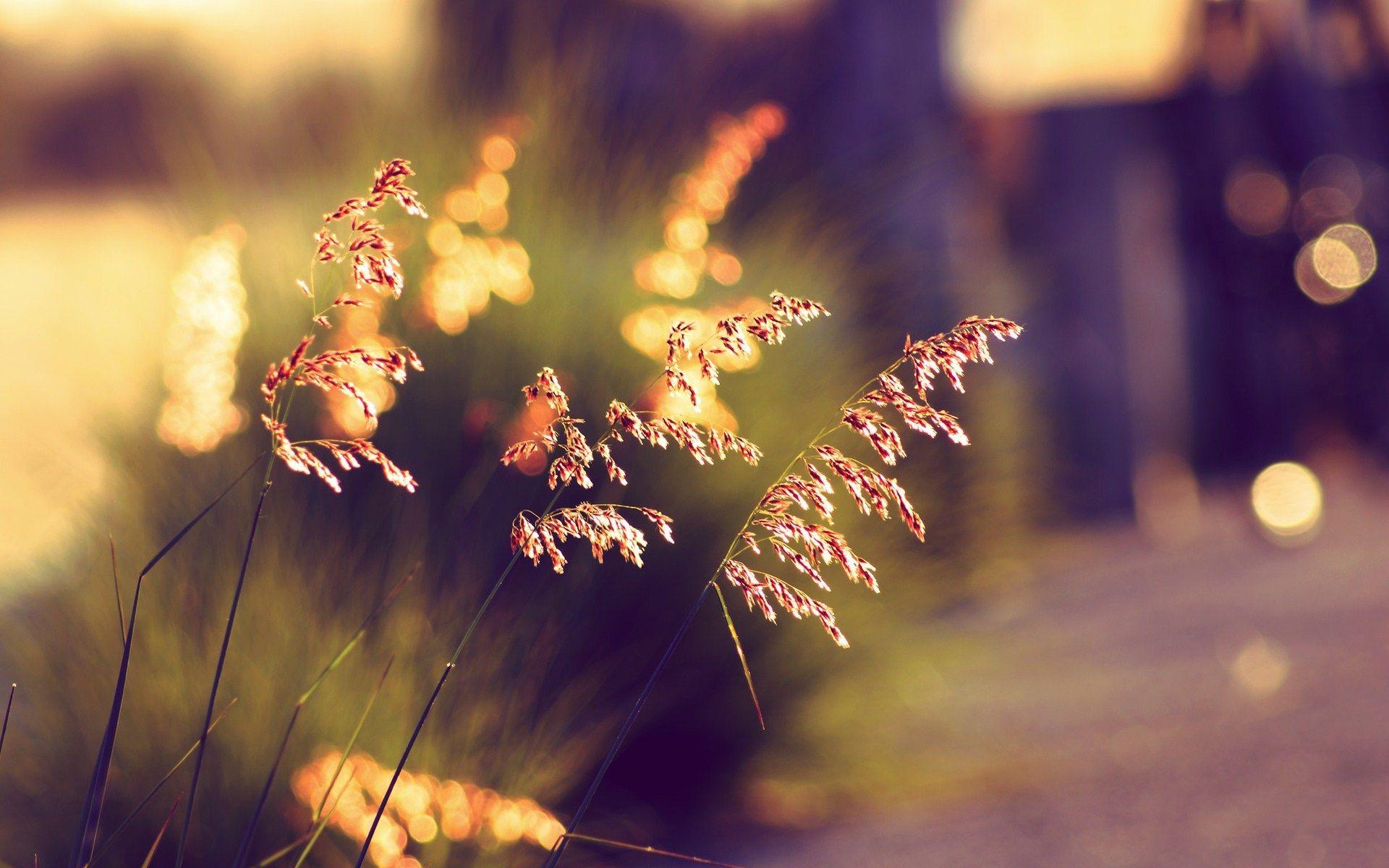 Beautiful Photography Wallpapers - Top Free Beautiful Photography ...