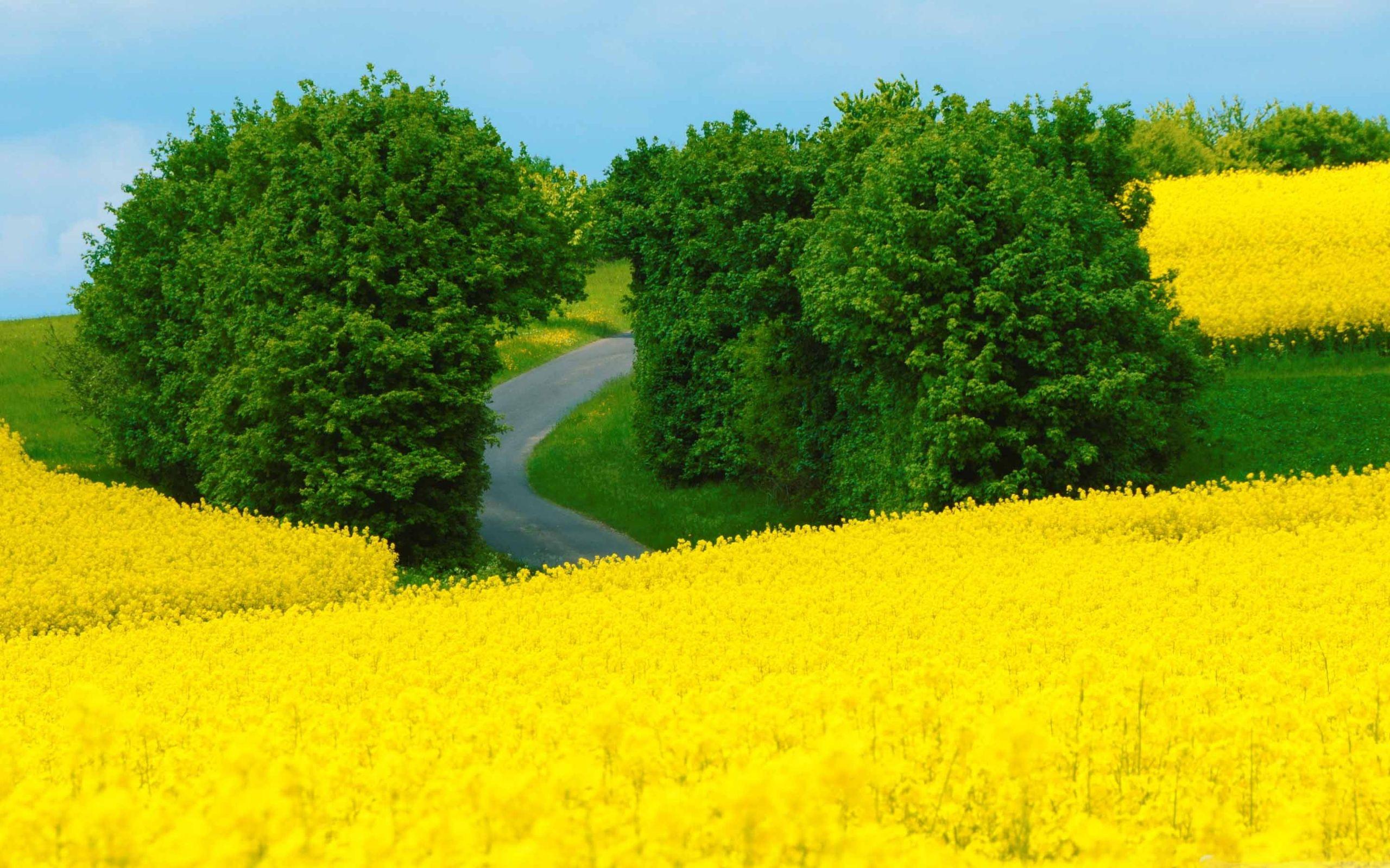 Beautiful Spring View Wallpapers - Top Free Beautiful Spring View ...