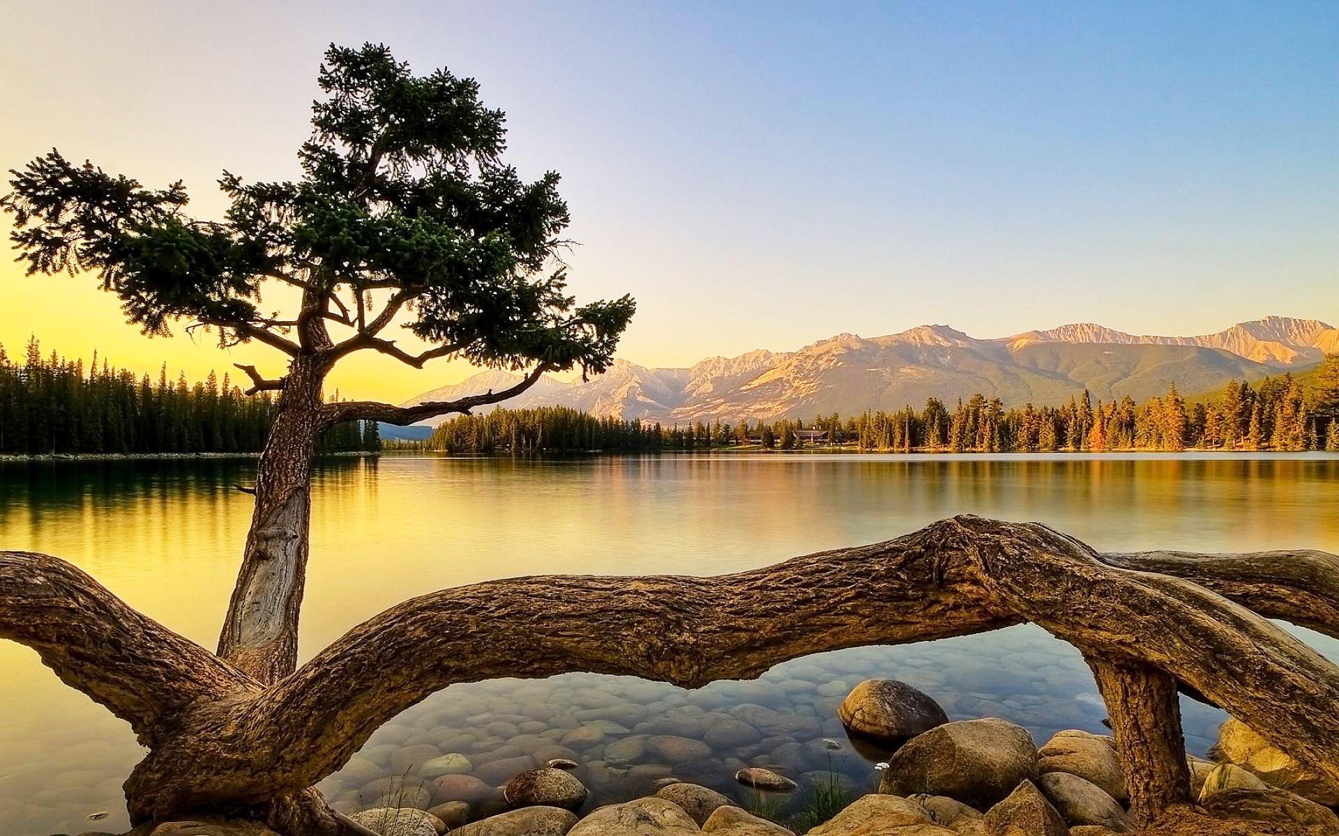 Lake View Wallpapers - Top Free Lake View Backgrounds - WallpaperAccess