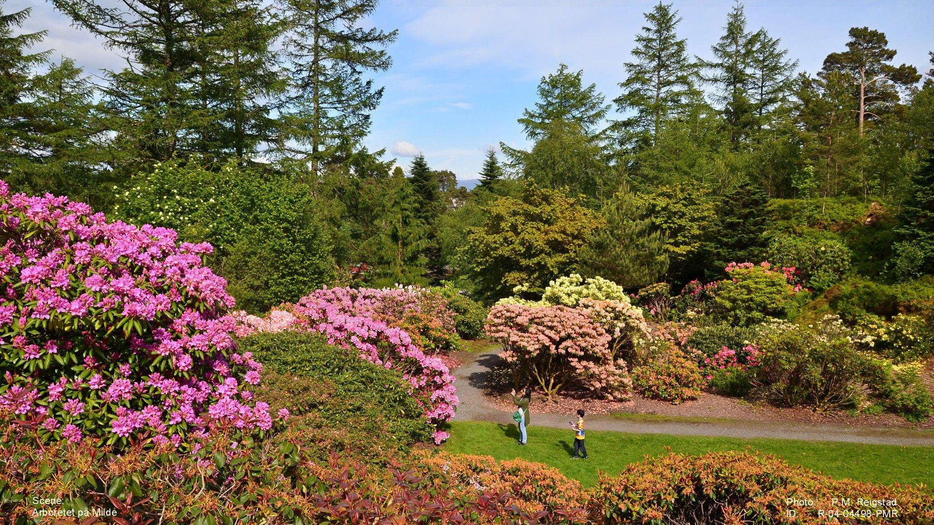 Beautiful Spring View Wallpapers - Top Free Beautiful Spring View ...