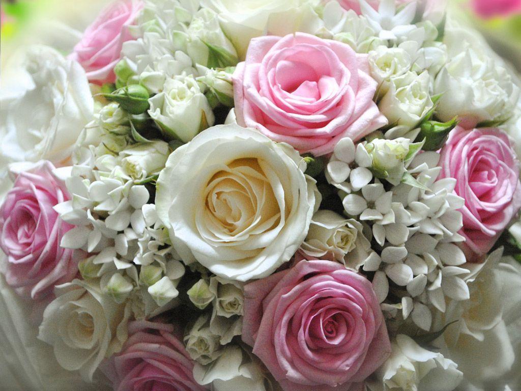 Cute Flower Wallpapers - Top Free Cute Flower Backgrounds - WallpaperAccess
