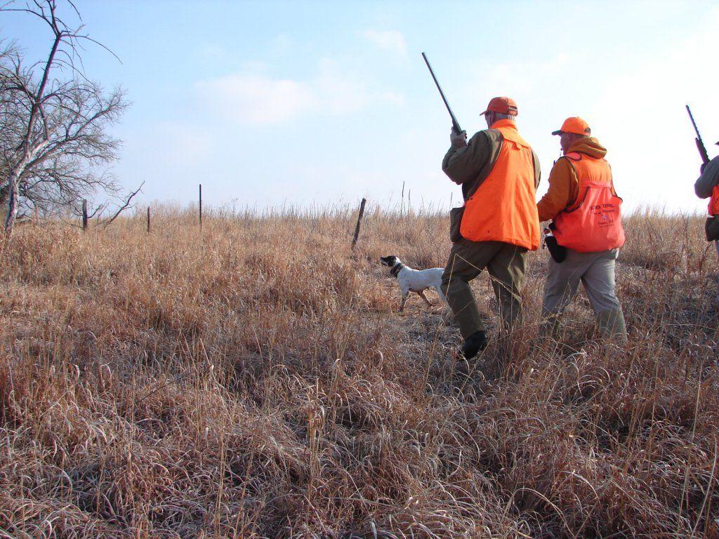 Upland Hunting Wallpapers - Top Free Upland Hunting Backgrounds ...