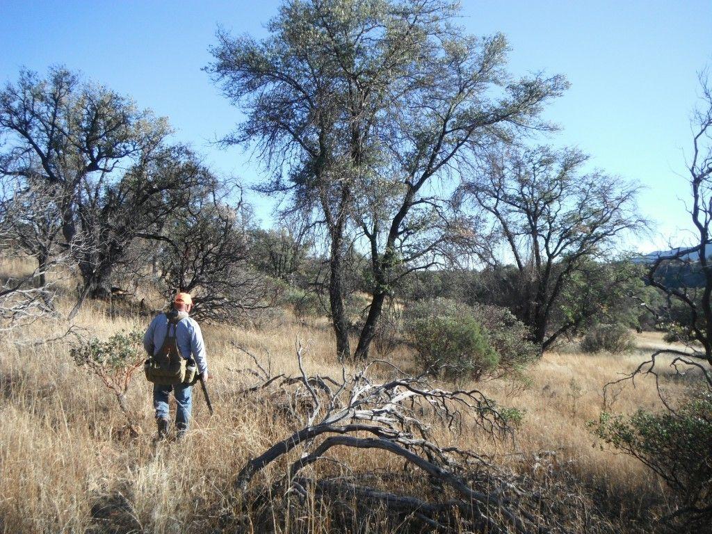 Upland Hunting Wallpapers - Top Free Upland Hunting Backgrounds ...