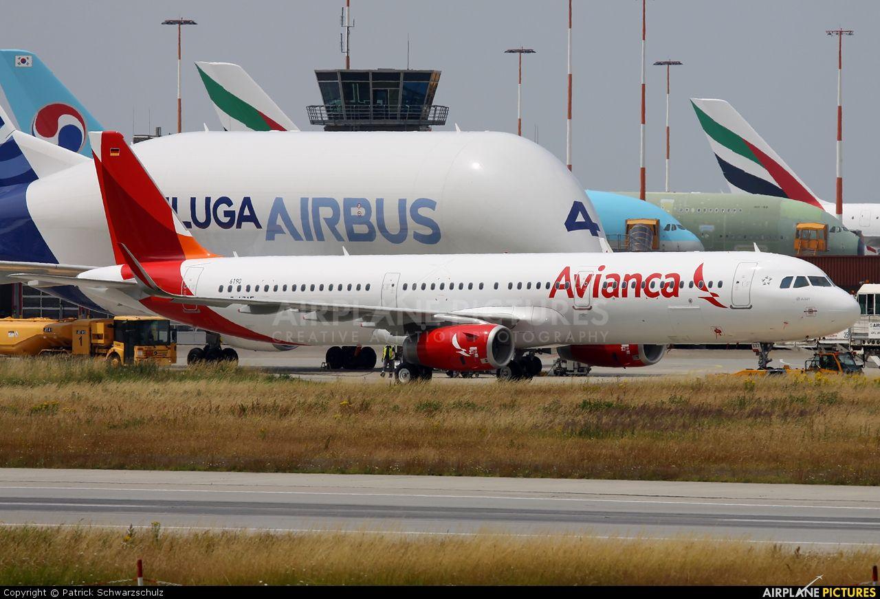 Avianca Wallpapers - Top Free Avianca Backgrounds - WallpaperAccess