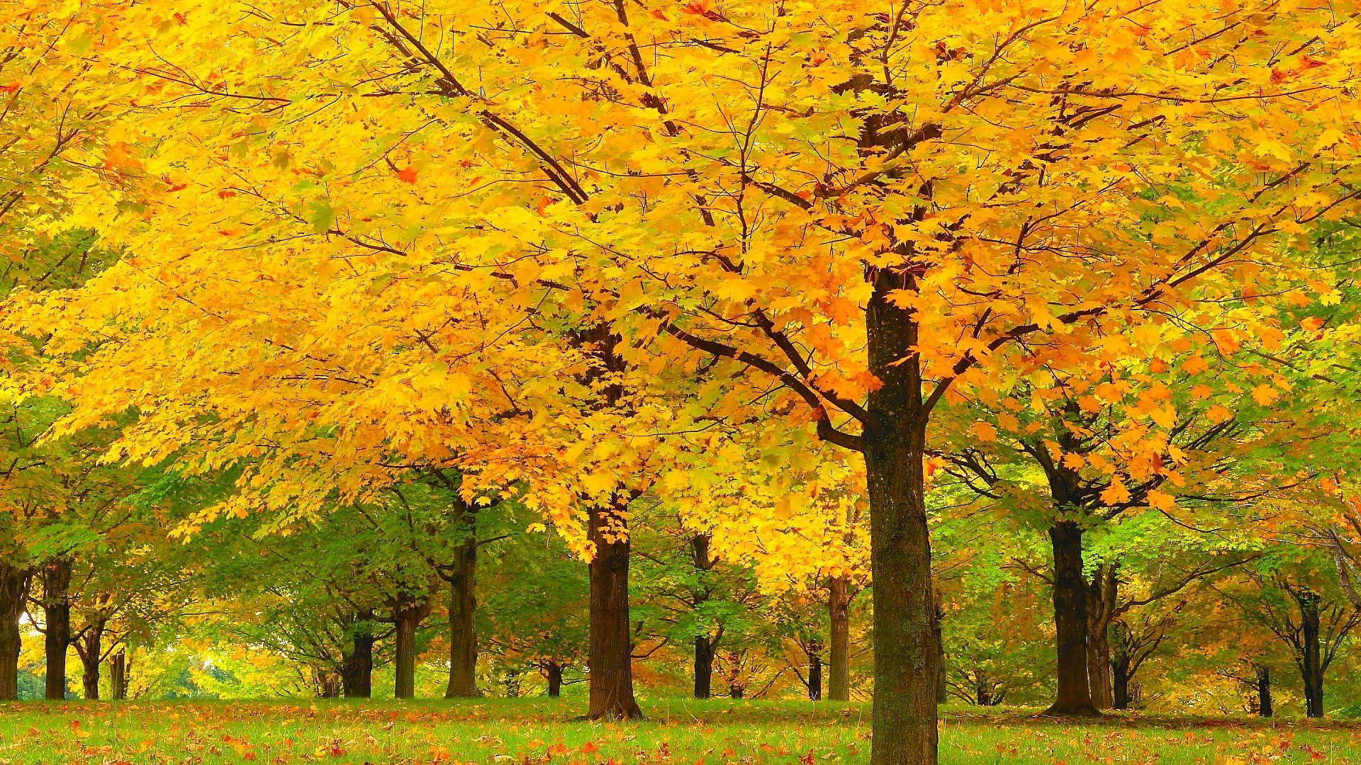 Vermont Spring Wallpapers - Top Free Vermont Spring Backgrounds ...