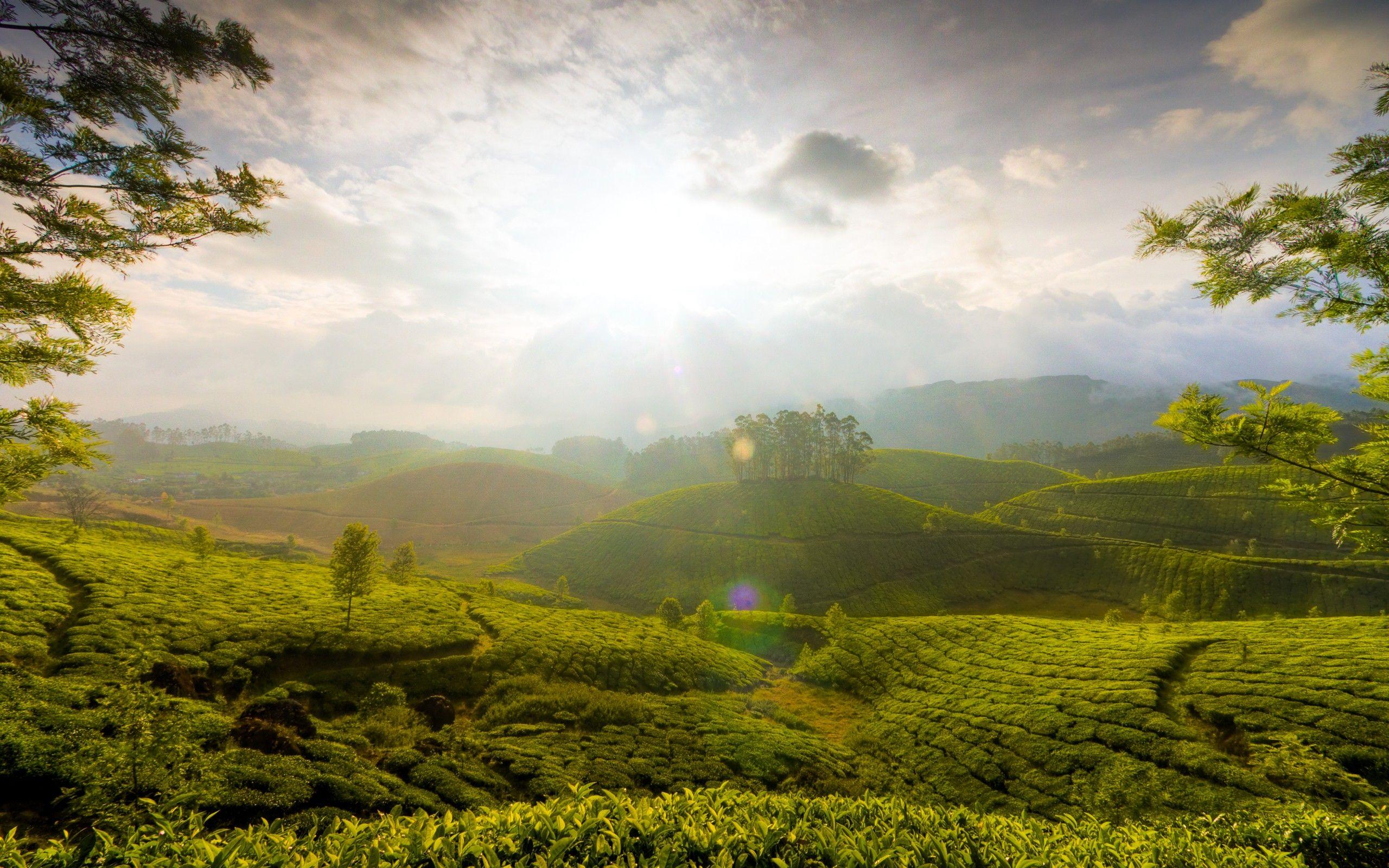 Munnar Wallpapers - Top Free Munnar Backgrounds - WallpaperAccess