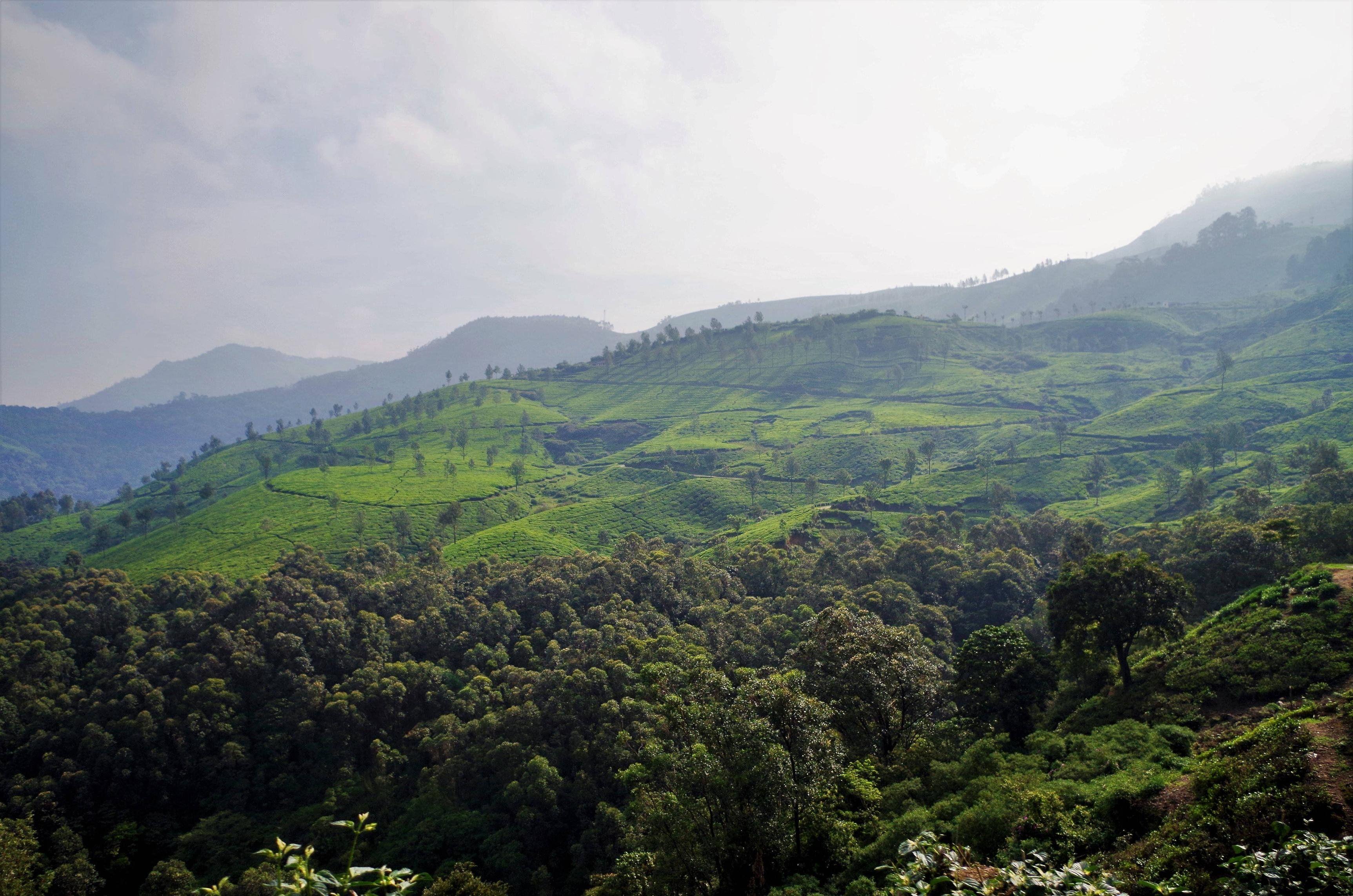 Munnar Wallpapers - Top Free Munnar Backgrounds - WallpaperAccess