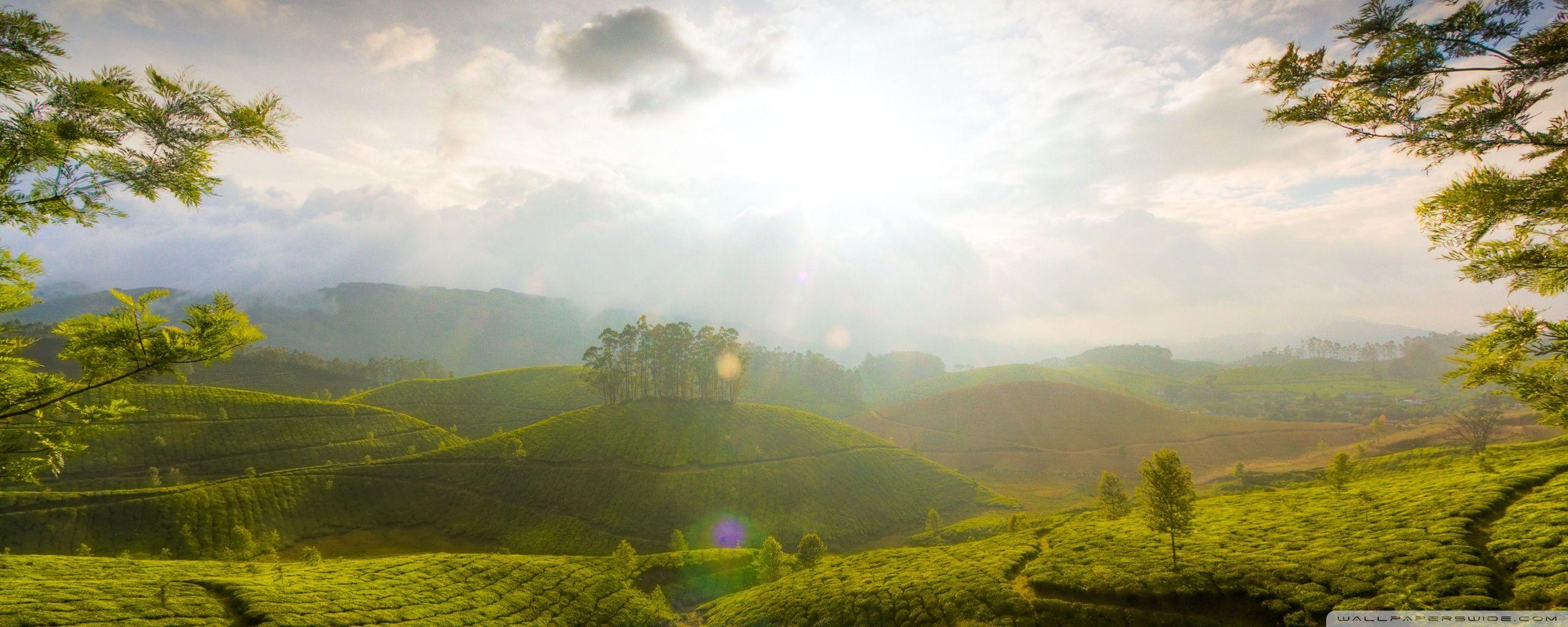 Munnar Wallpapers - Top Free Munnar Backgrounds - WallpaperAccess