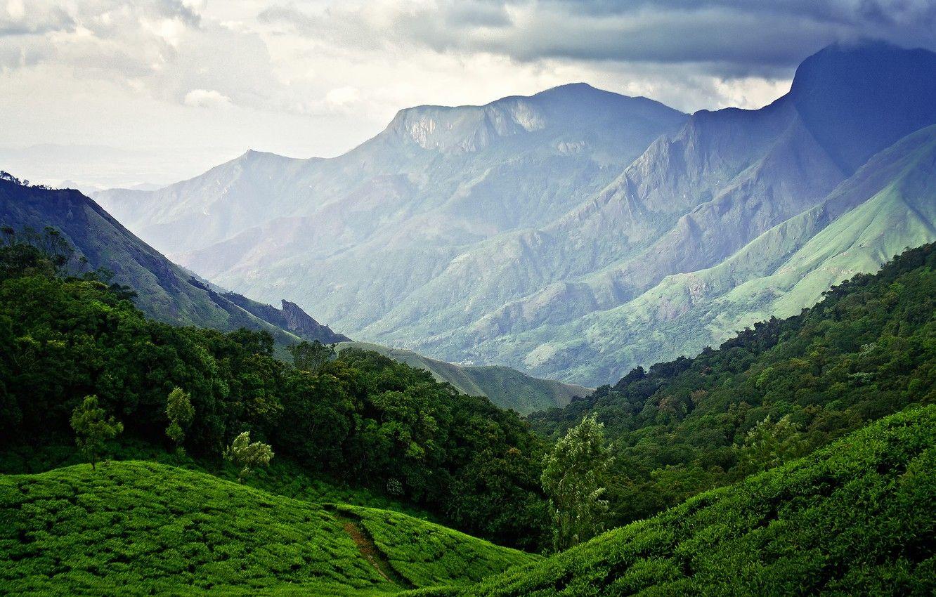 Munnar Wallpapers - Top Free Munnar Backgrounds - WallpaperAccess