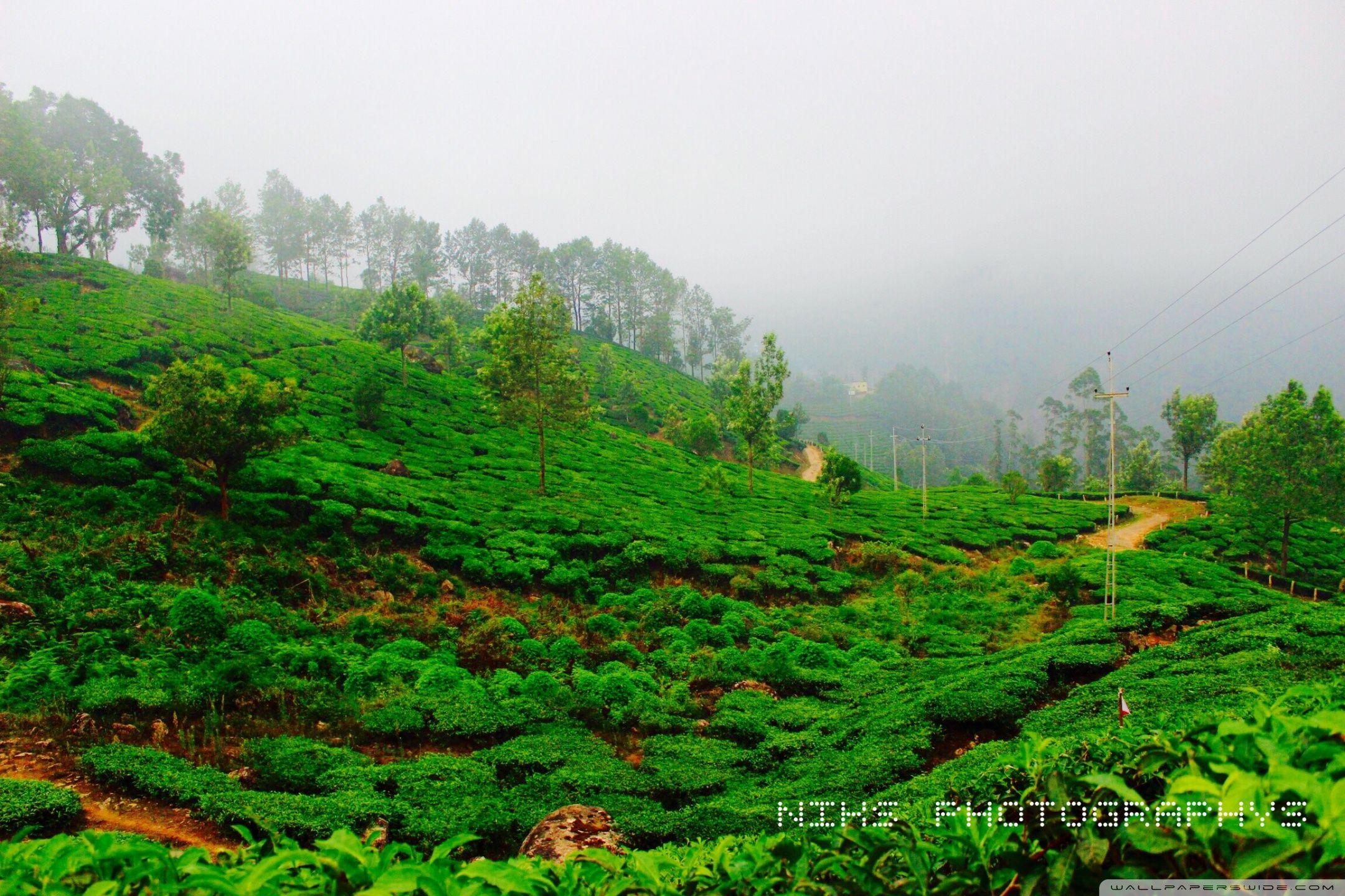 Munnar Wallpapers - Top Free Munnar Backgrounds - WallpaperAccess