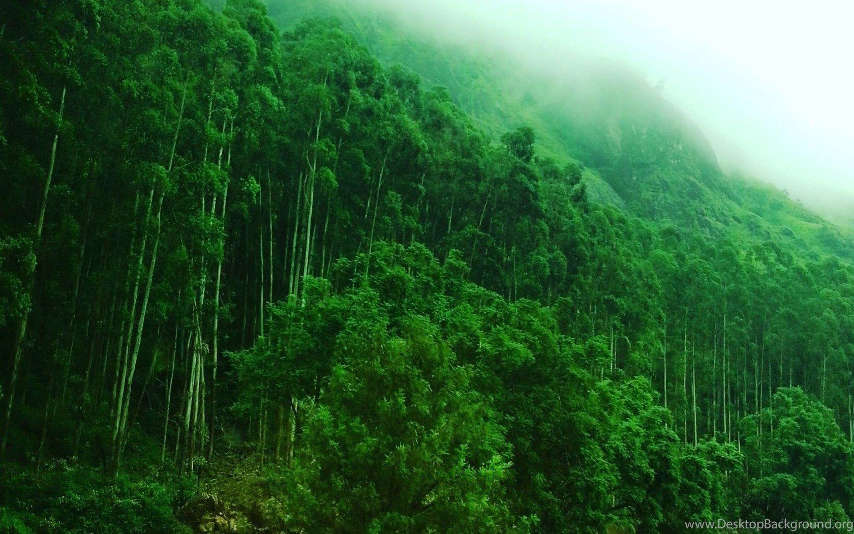 Munnar Wallpapers - Top Free Munnar Backgrounds - WallpaperAccess