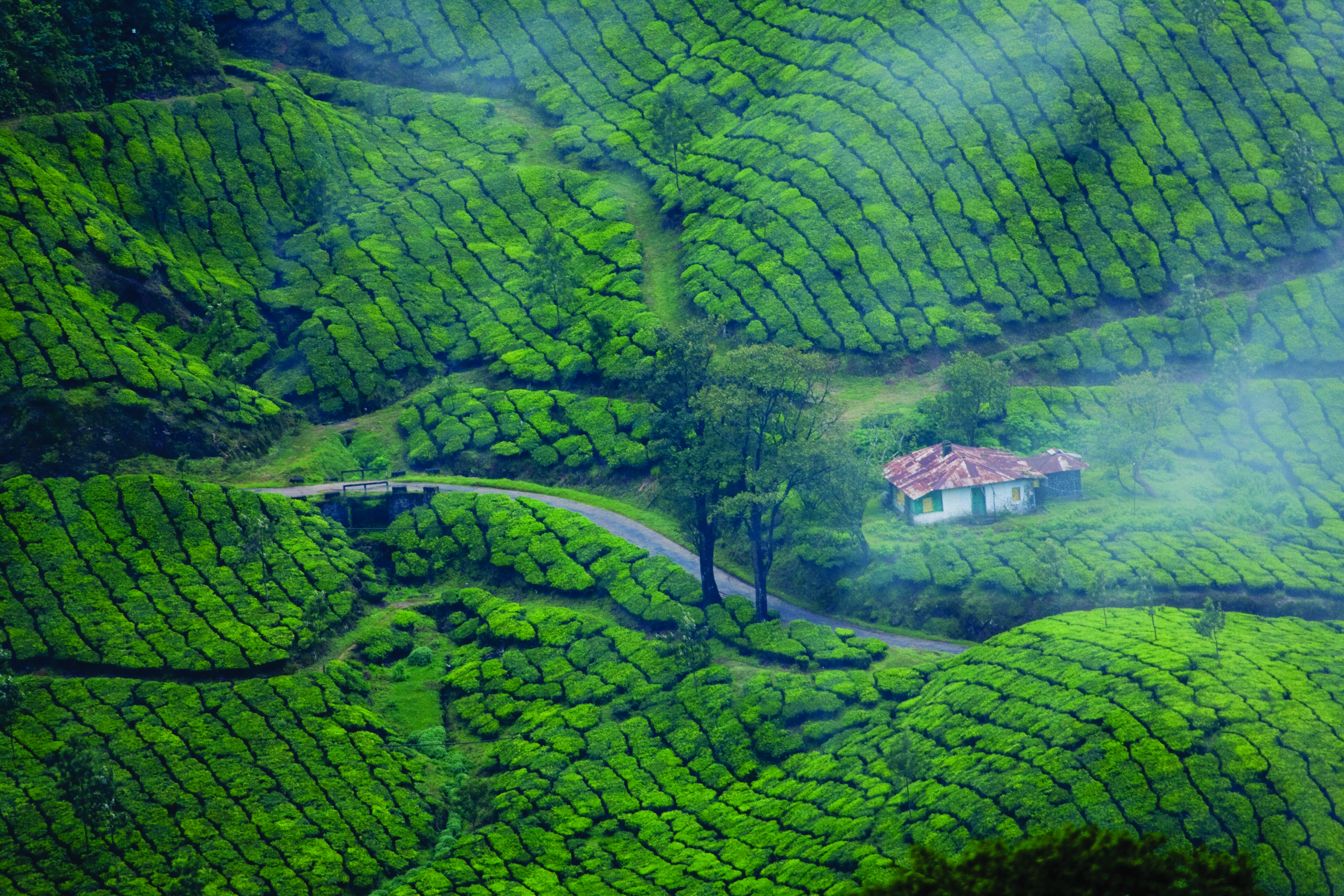 Munnar Wallpapers - Top Free Munnar Backgrounds - WallpaperAccess