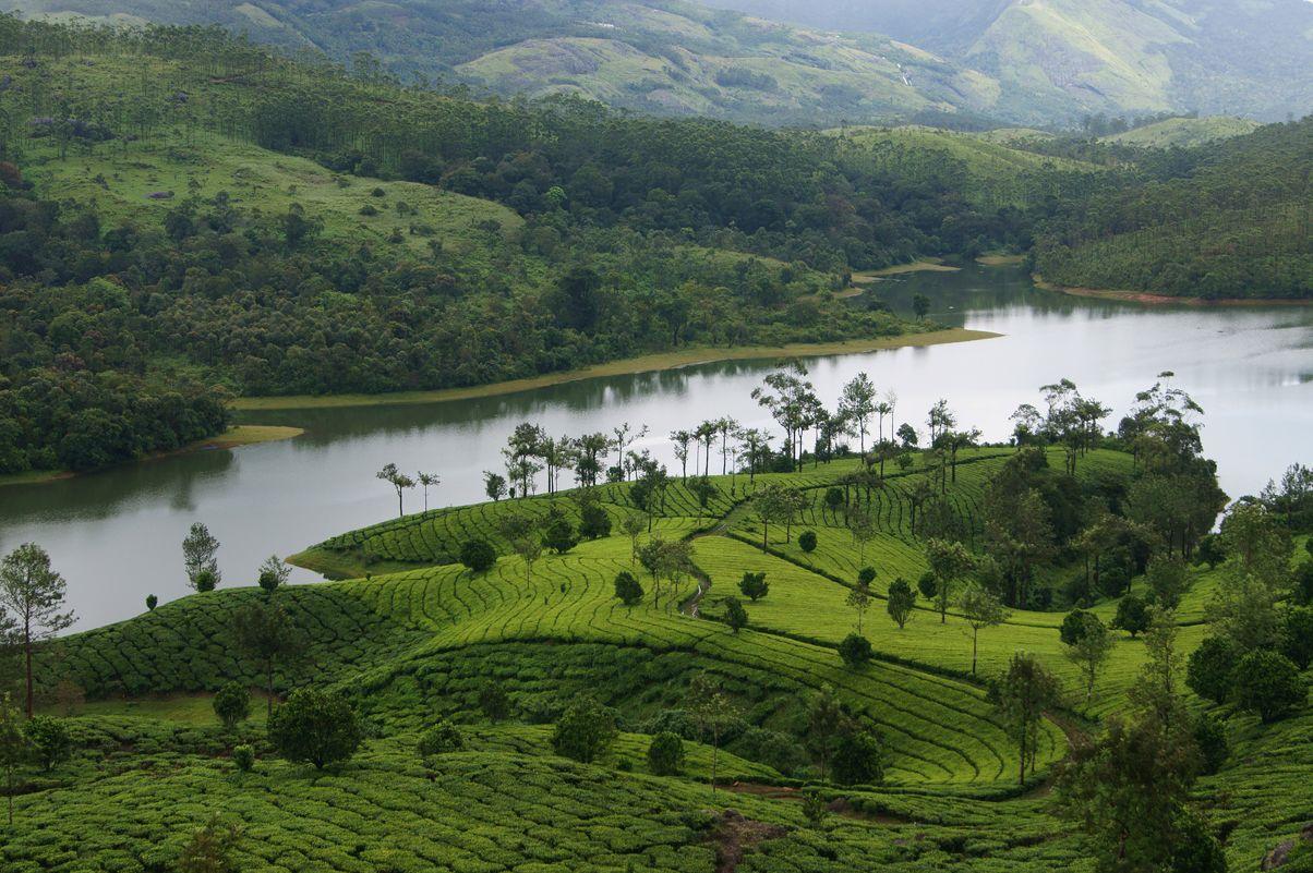 Munnar Wallpapers - Top Free Munnar Backgrounds - WallpaperAccess