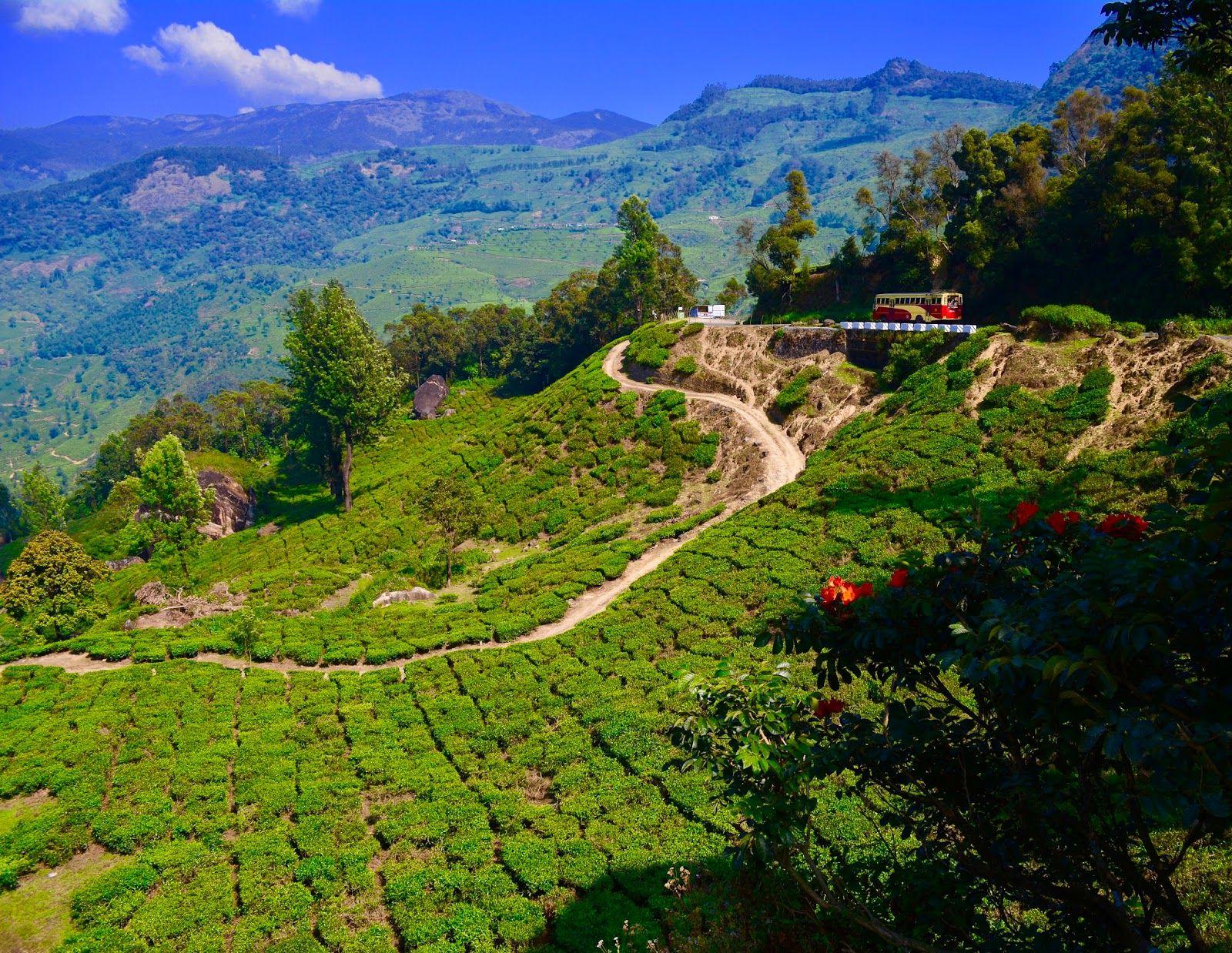 Munnar Wallpapers - Top Free Munnar Backgrounds - WallpaperAccess