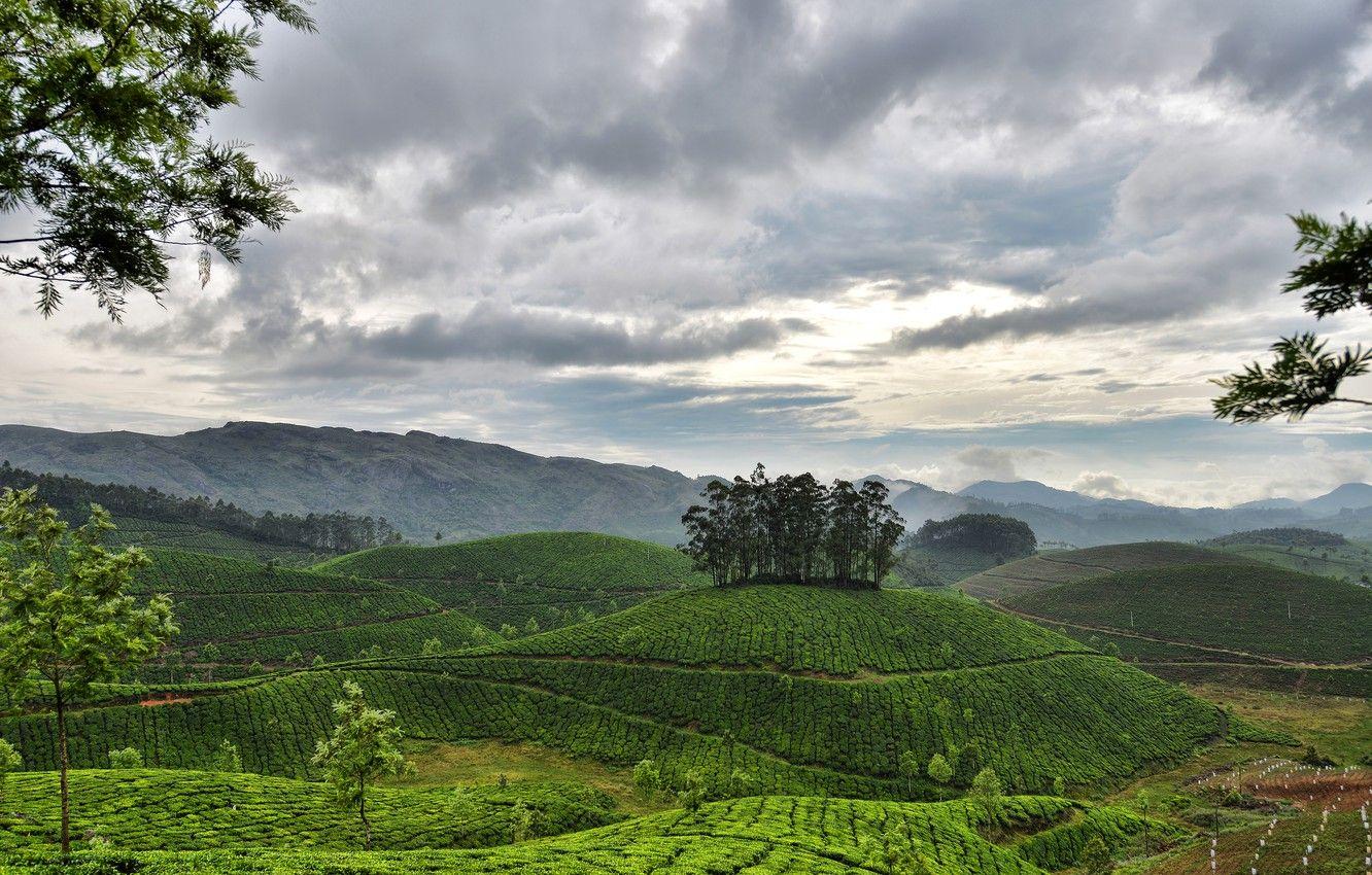 Munnar Wallpapers - Top Free Munnar Backgrounds - WallpaperAccess