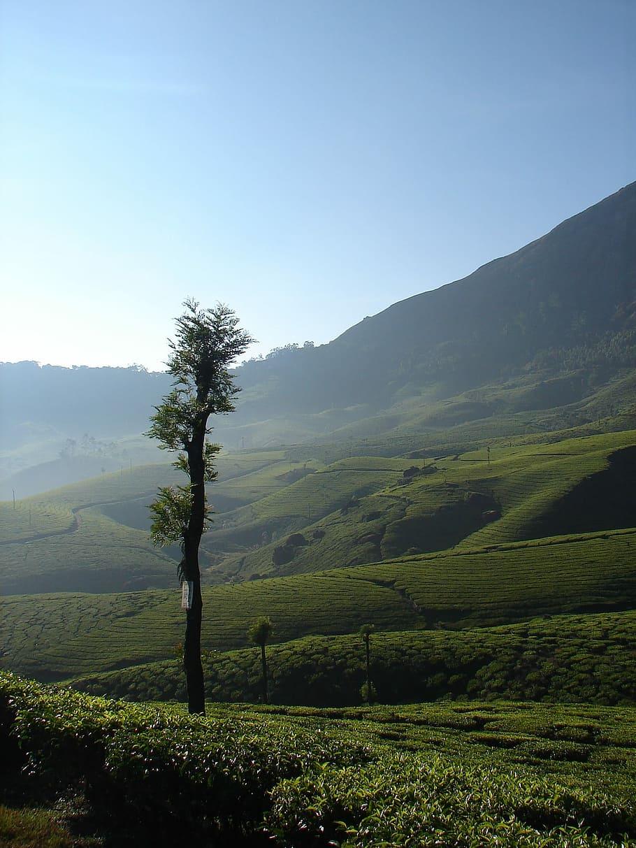 Munnar Wallpapers - Top Free Munnar Backgrounds - WallpaperAccess