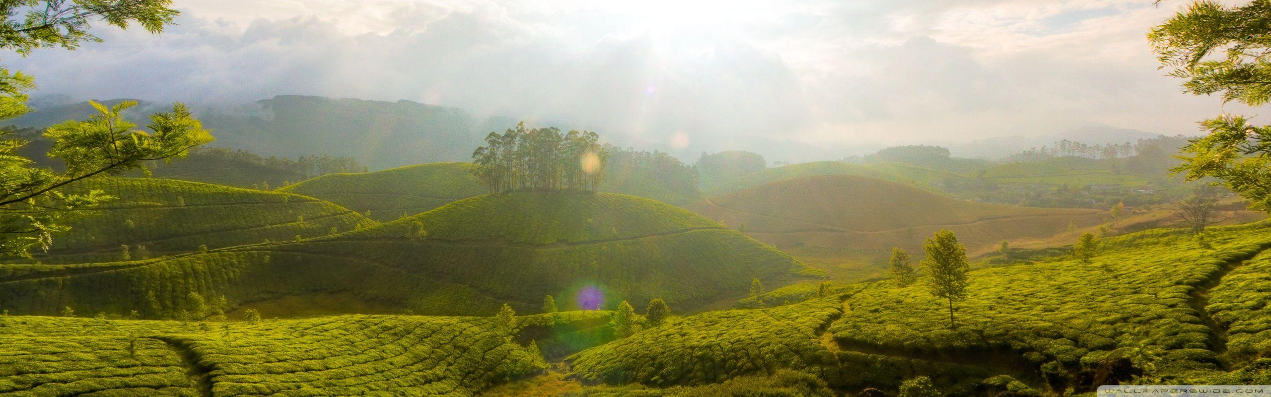 Munnar Wallpapers - Top Free Munnar Backgrounds - WallpaperAccess