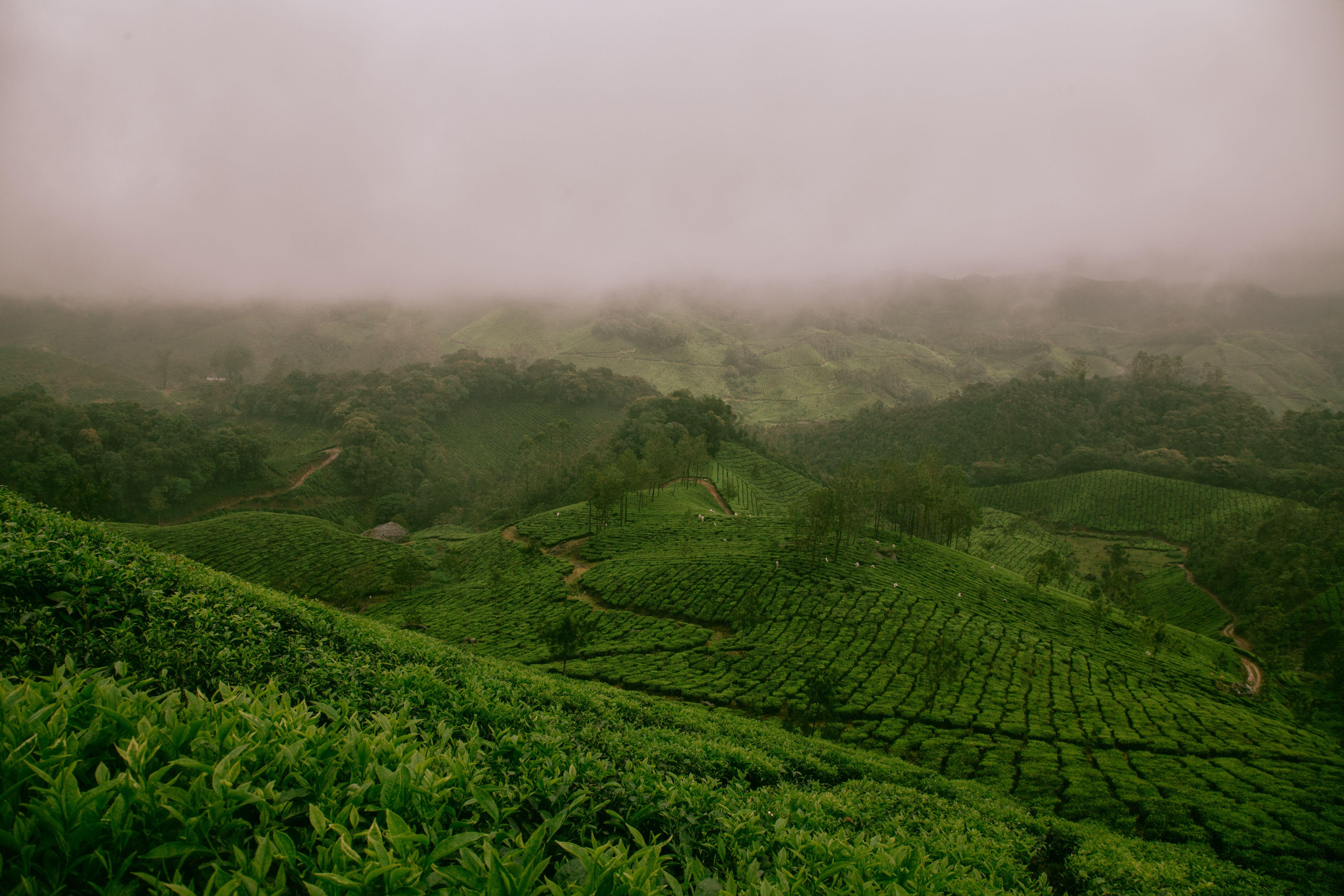 Munnar Wallpapers - Top Free Munnar Backgrounds - WallpaperAccess