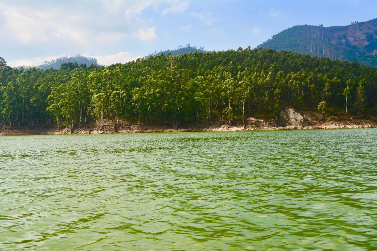 Munnar Wallpapers - Top Free Munnar Backgrounds - WallpaperAccess