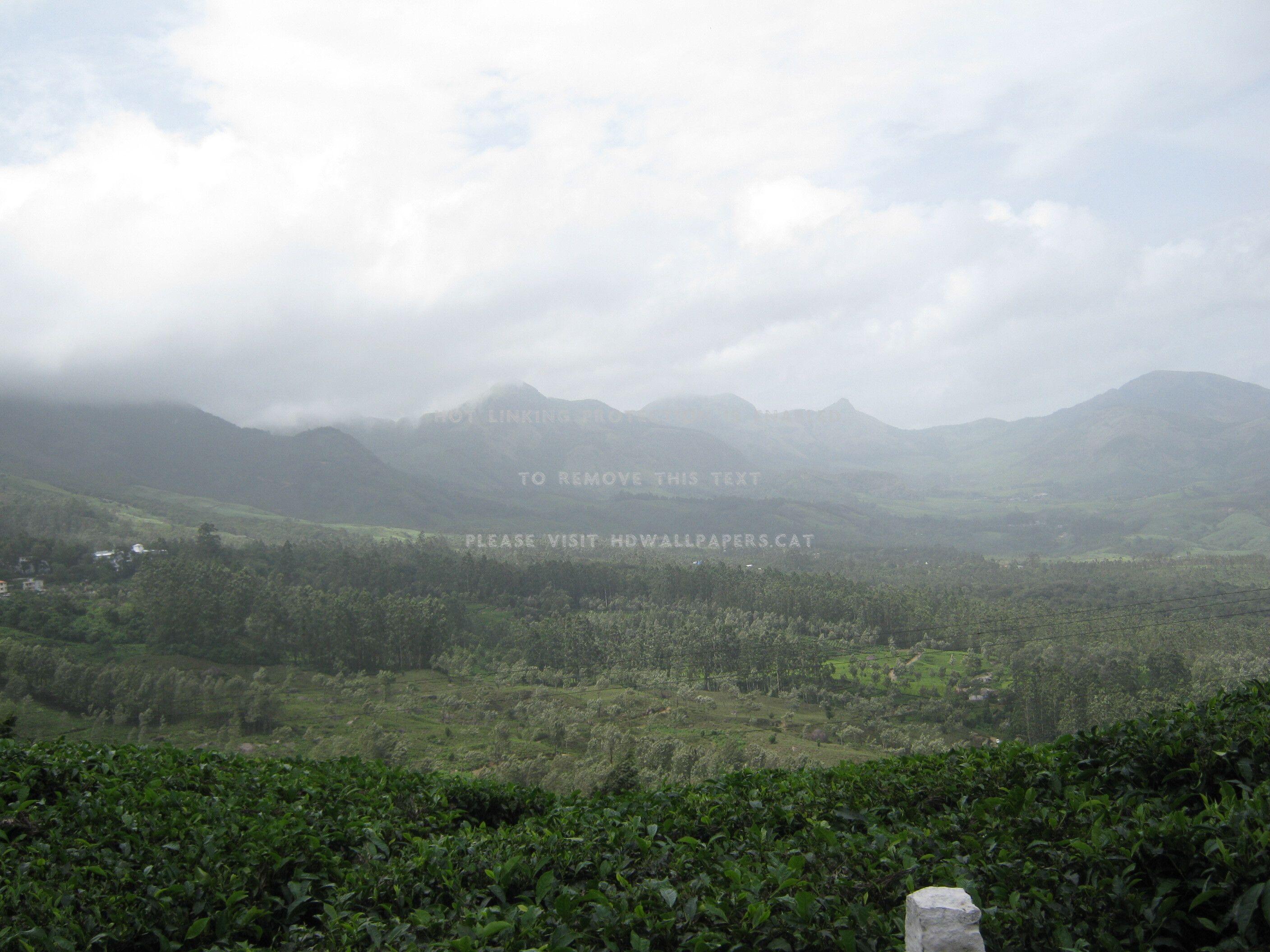 Munnar Wallpapers - Top Free Munnar Backgrounds - WallpaperAccess