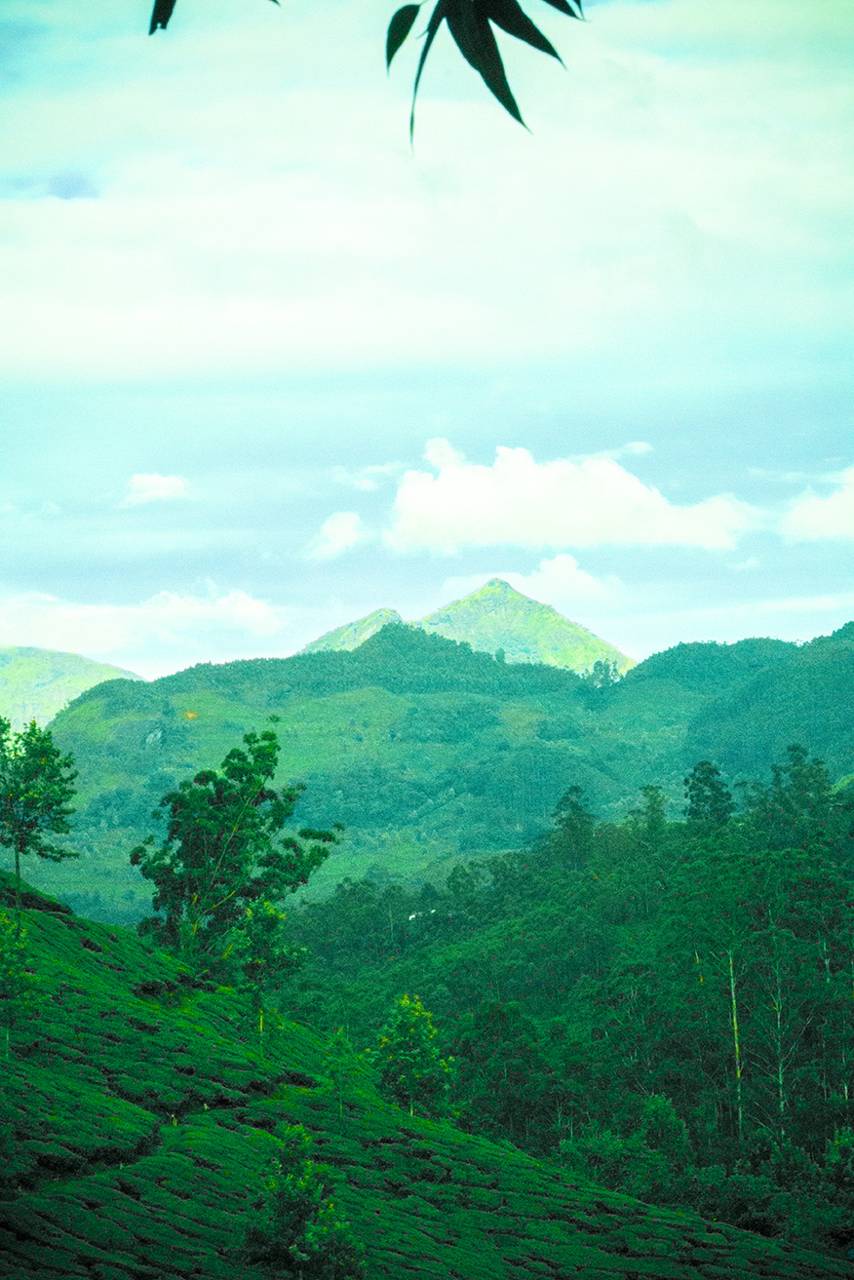 Kerala Nature Wallpapers - Top Free Kerala Nature Backgrounds ...