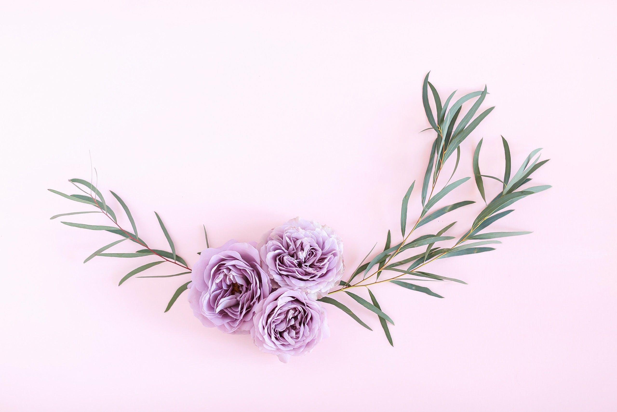 Pastel Floral Computer Wallpapers - Top Free Pastel Floral Computer ...