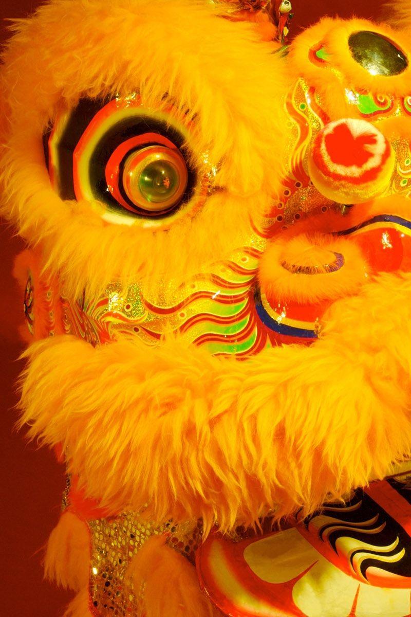 Lion Dance Wallpapers - Top Free Lion Dance Backgrounds - WallpaperAccess