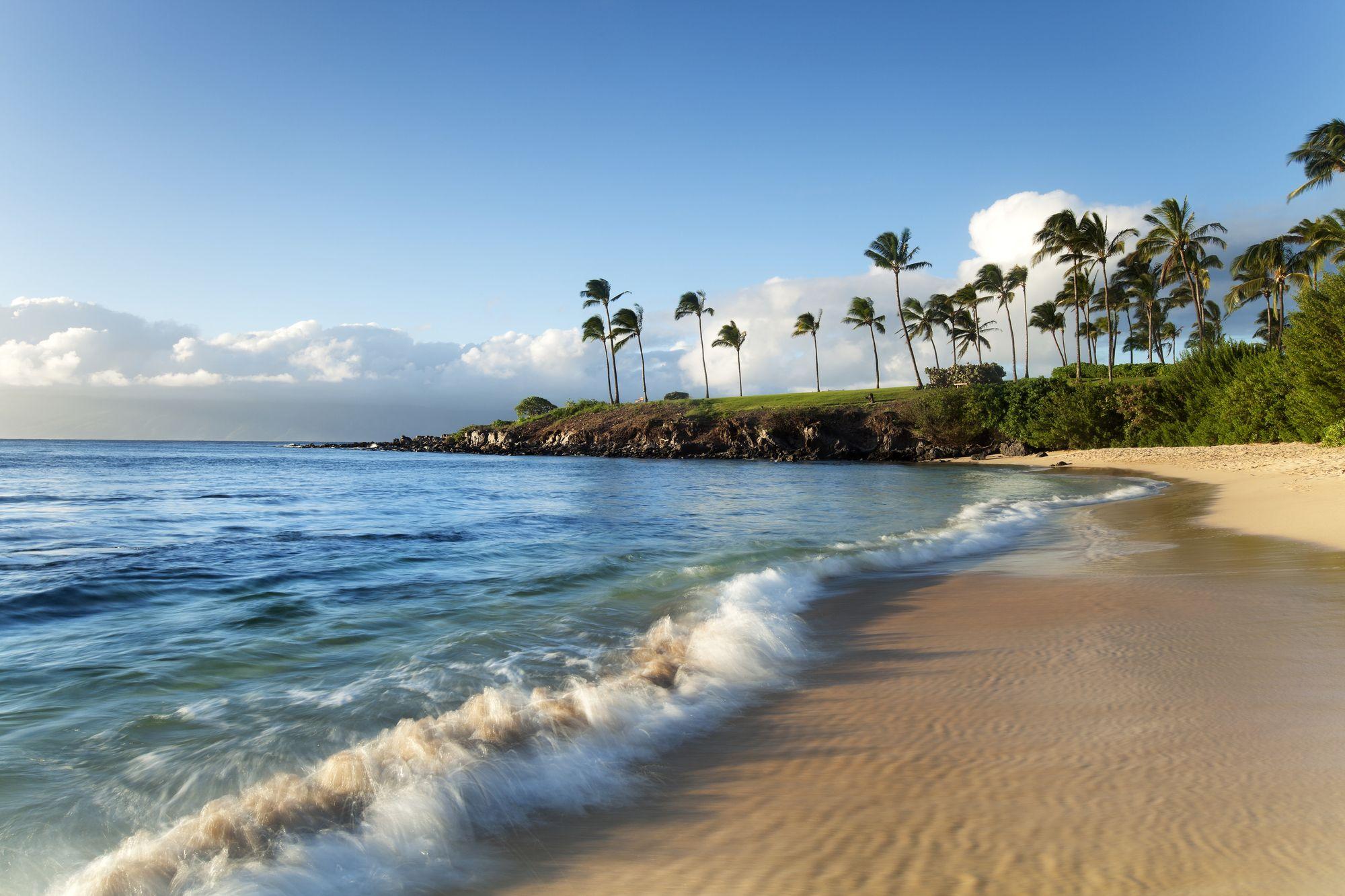 Maui Wallpapers - Top Free Maui Backgrounds - WallpaperAccess