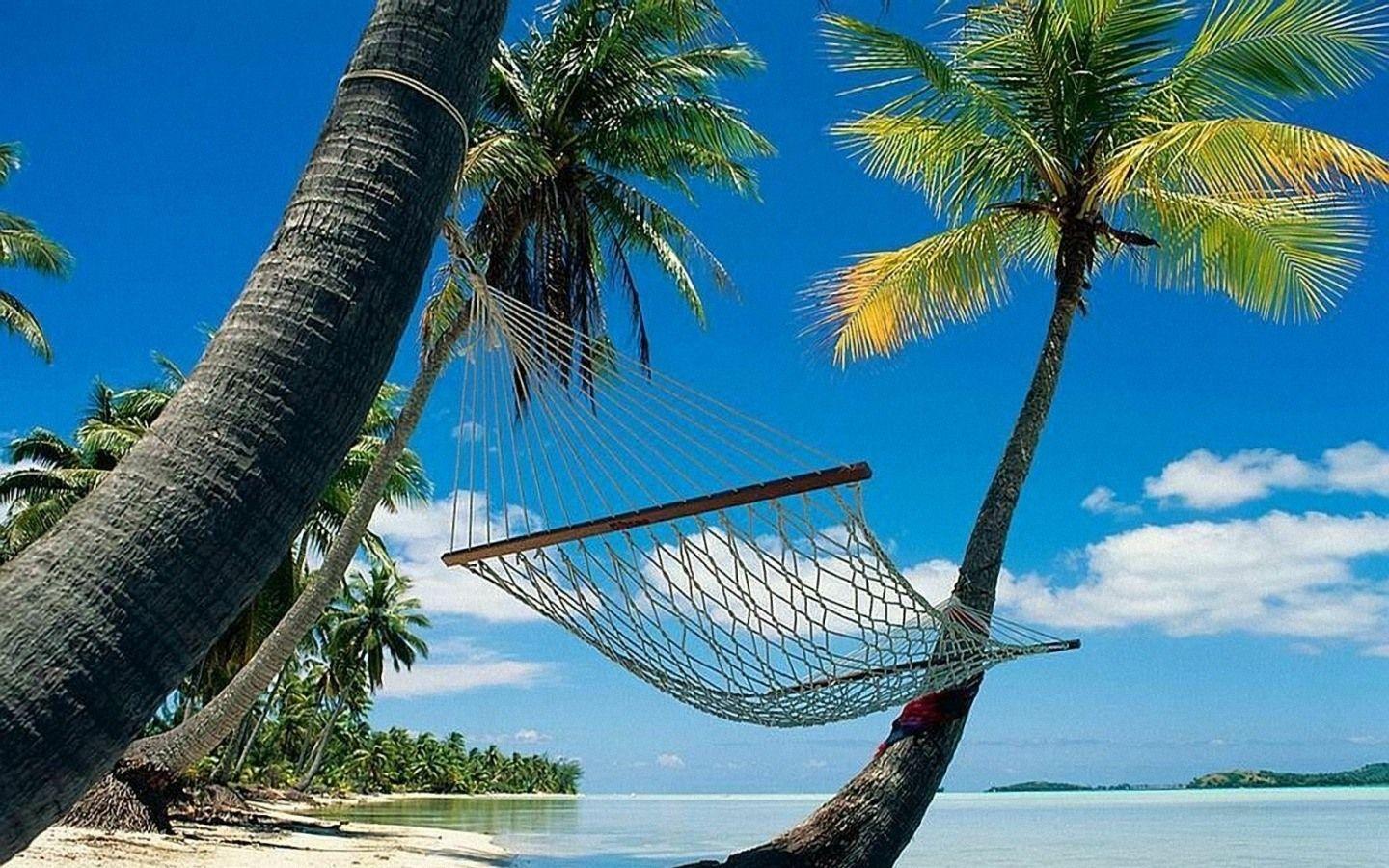 Maui Wallpapers - Top Free Maui Backgrounds - WallpaperAccess