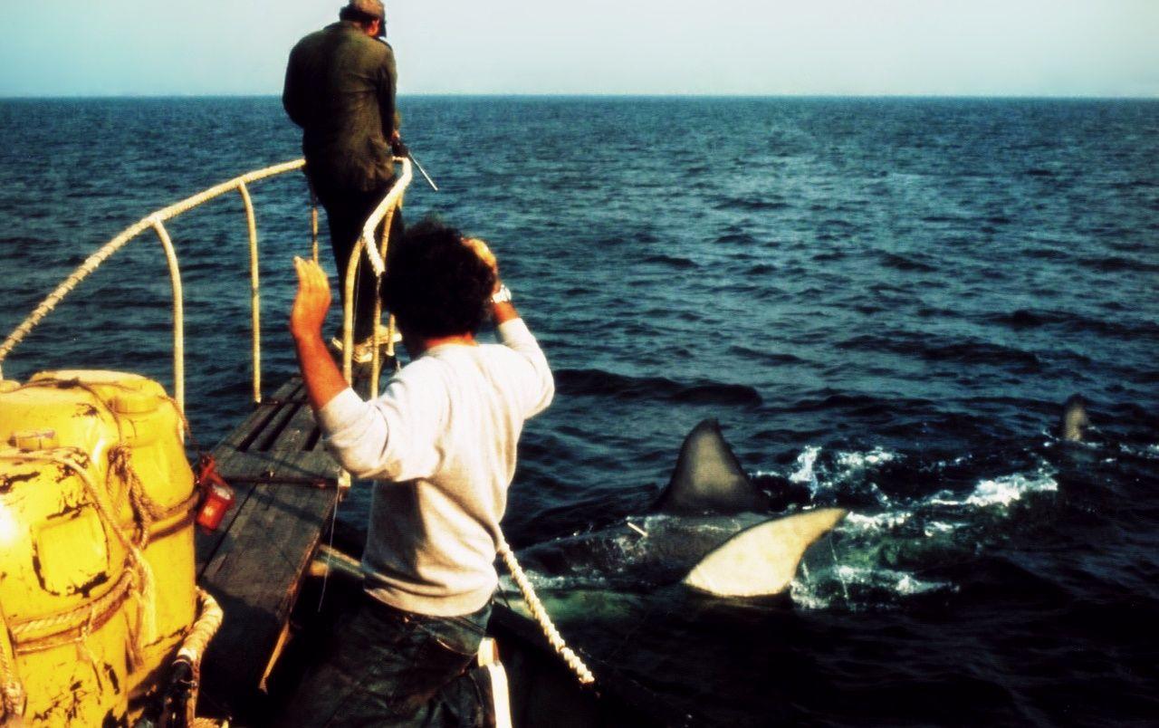 Jaws Wallpapers - Top Free Jaws Backgrounds - WallpaperAccess