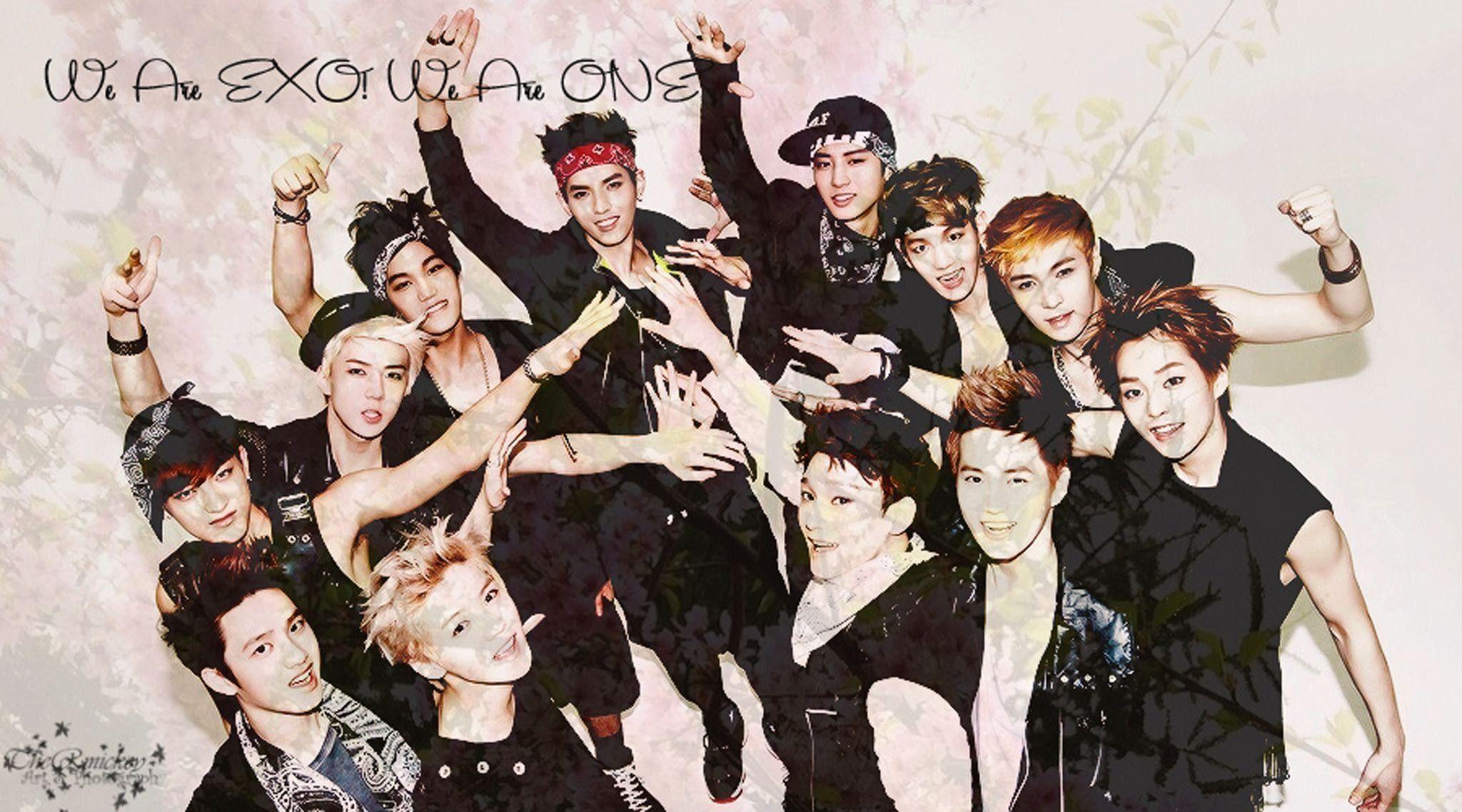 EXO Members Wallpapers - Top Free EXO Members Backgrounds - WallpaperAccess