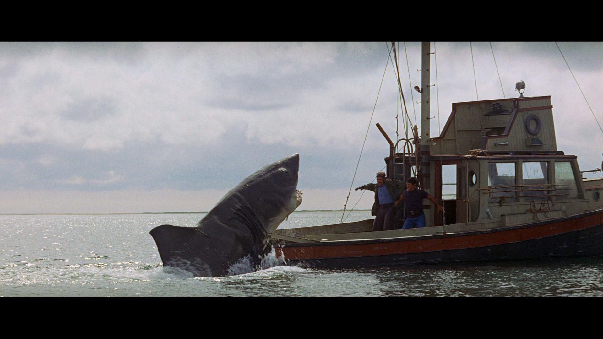 Jaws Wallpapers Top Free Jaws Backgrounds WallpaperAccess Jaws Wallpapers Top Free Jaws Backgrounds WallpaperAccess