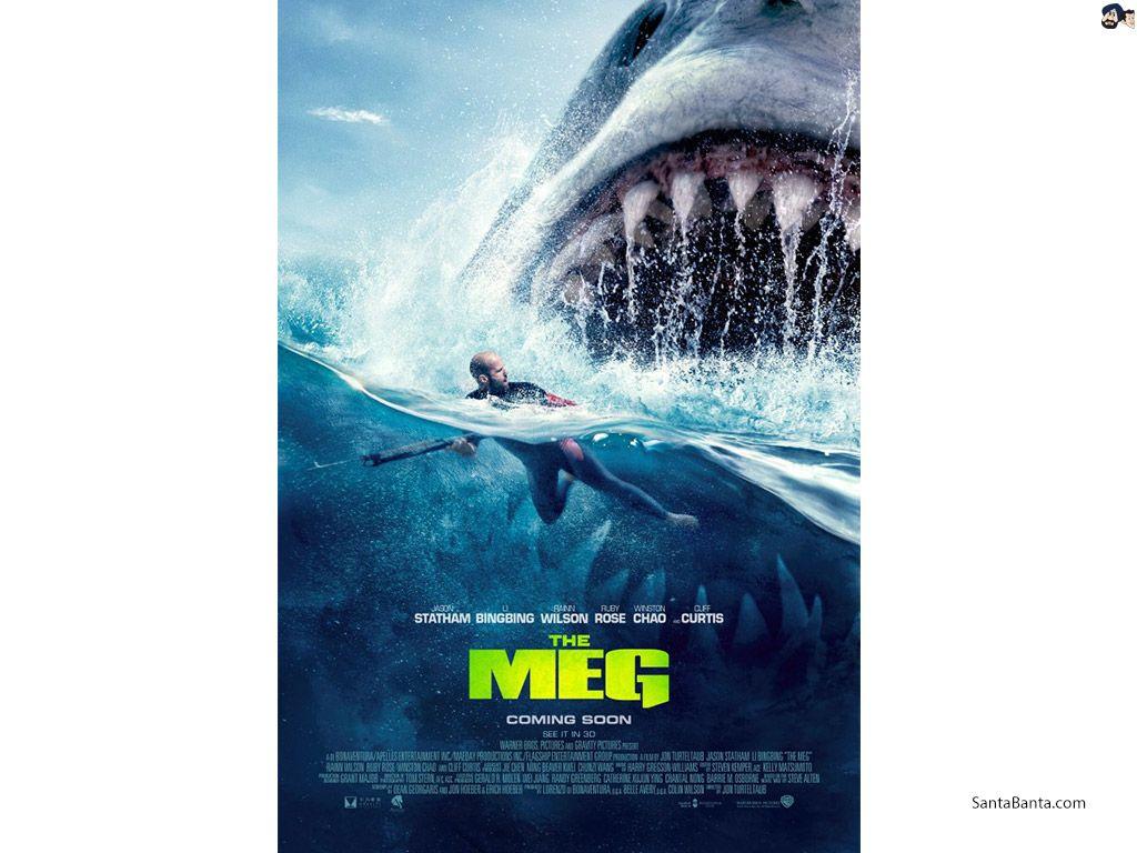 The Meg Wallpapers - Top Free The Meg Backgrounds - WallpaperAccess