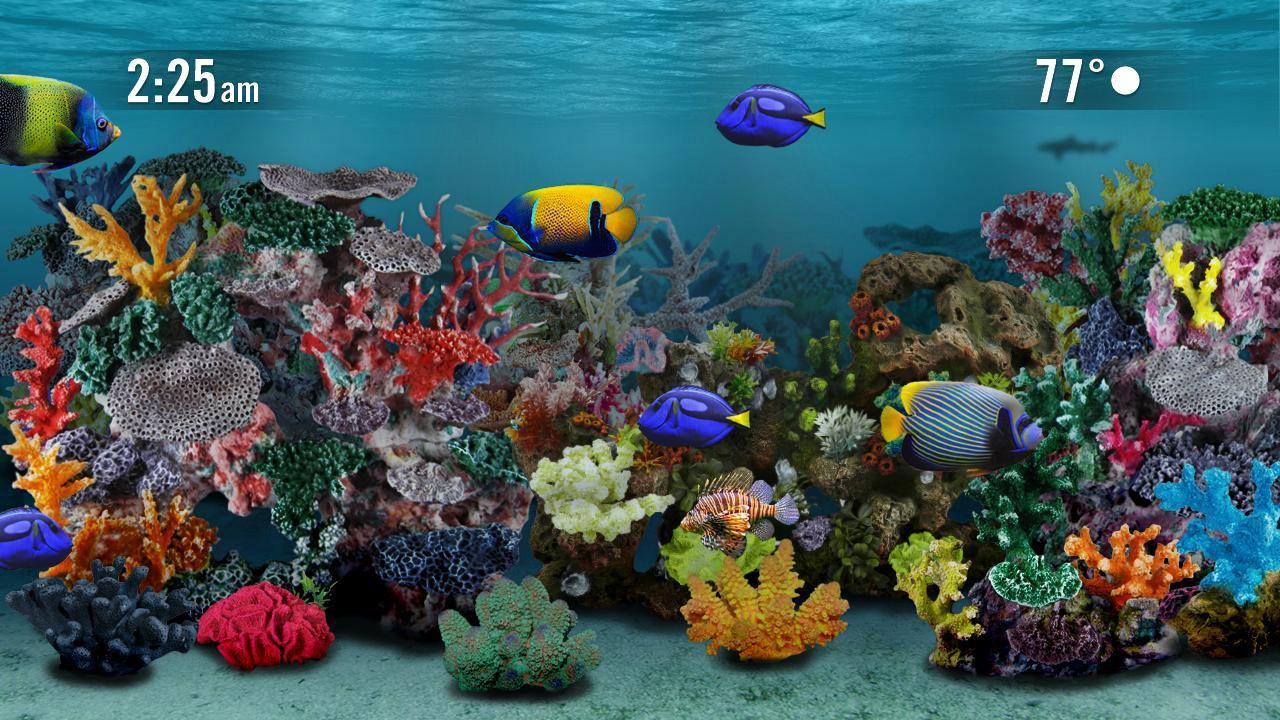 Fish Aquarium Wallpapers - Top Free Fish Aquarium Backgrounds ...