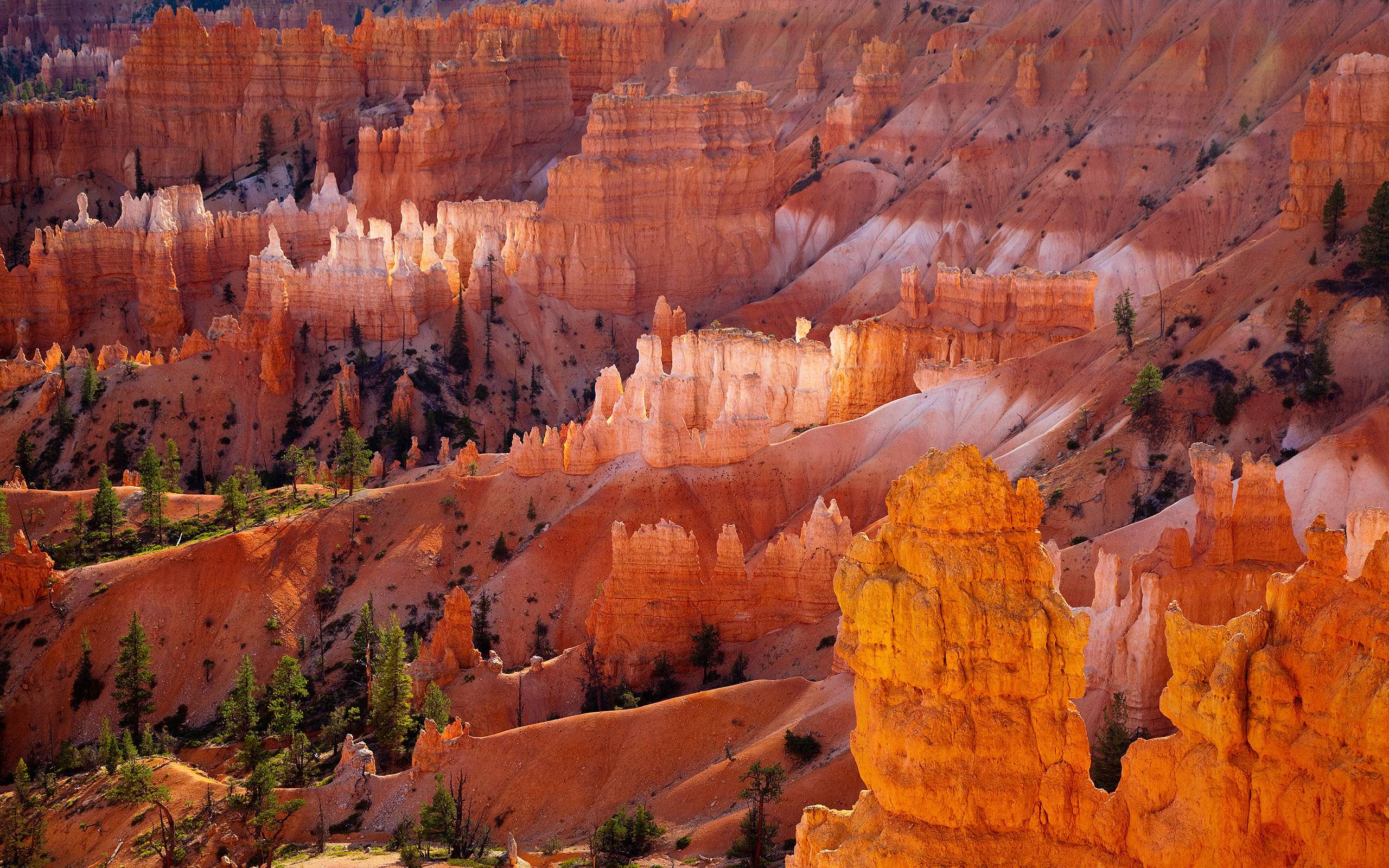 Bryce Canyon Wallpapers - Top Free Bryce Canyon Backgrounds ...