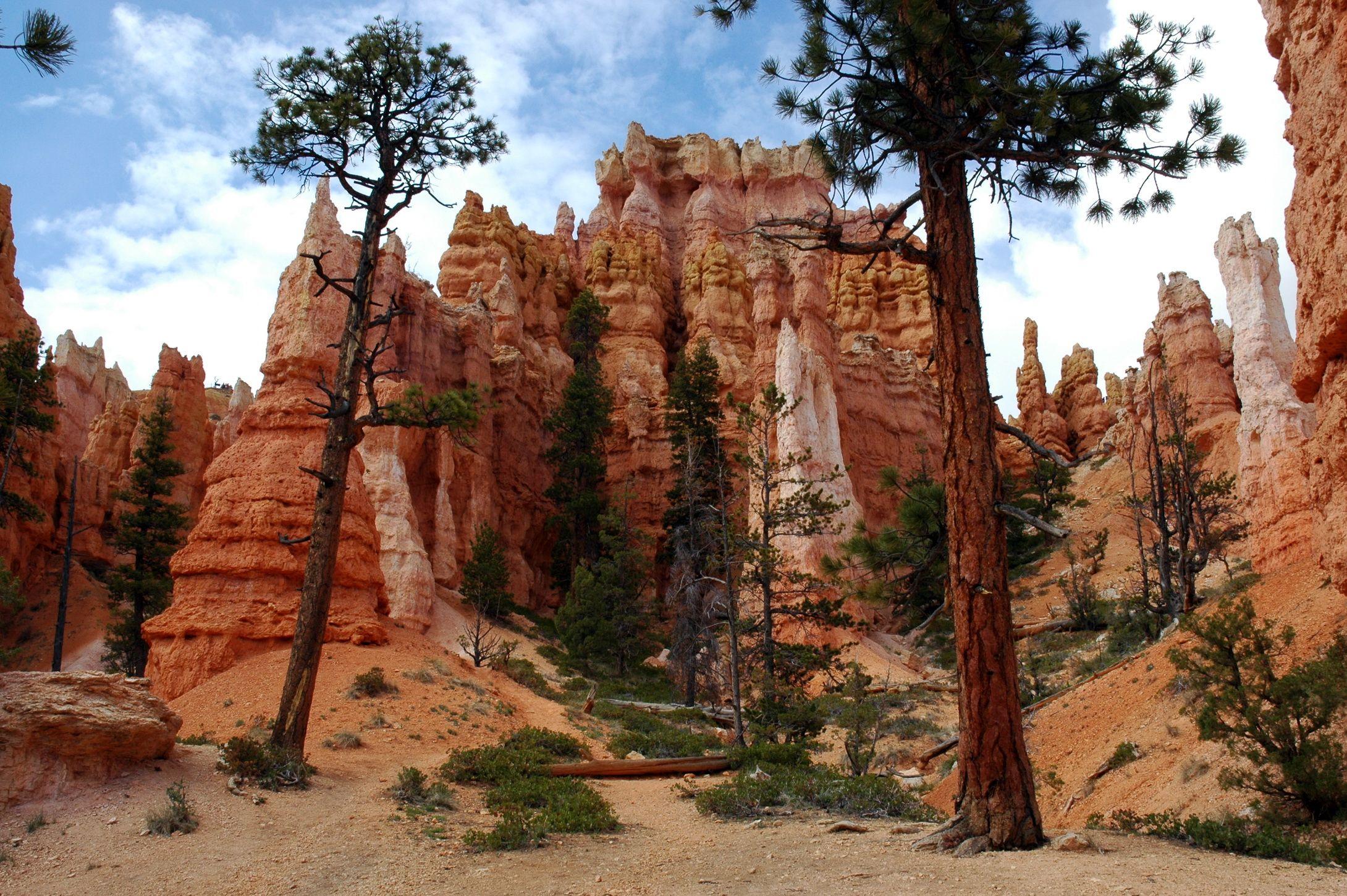 Bryce Canyon Wallpapers - Top Free Bryce Canyon Backgrounds ...